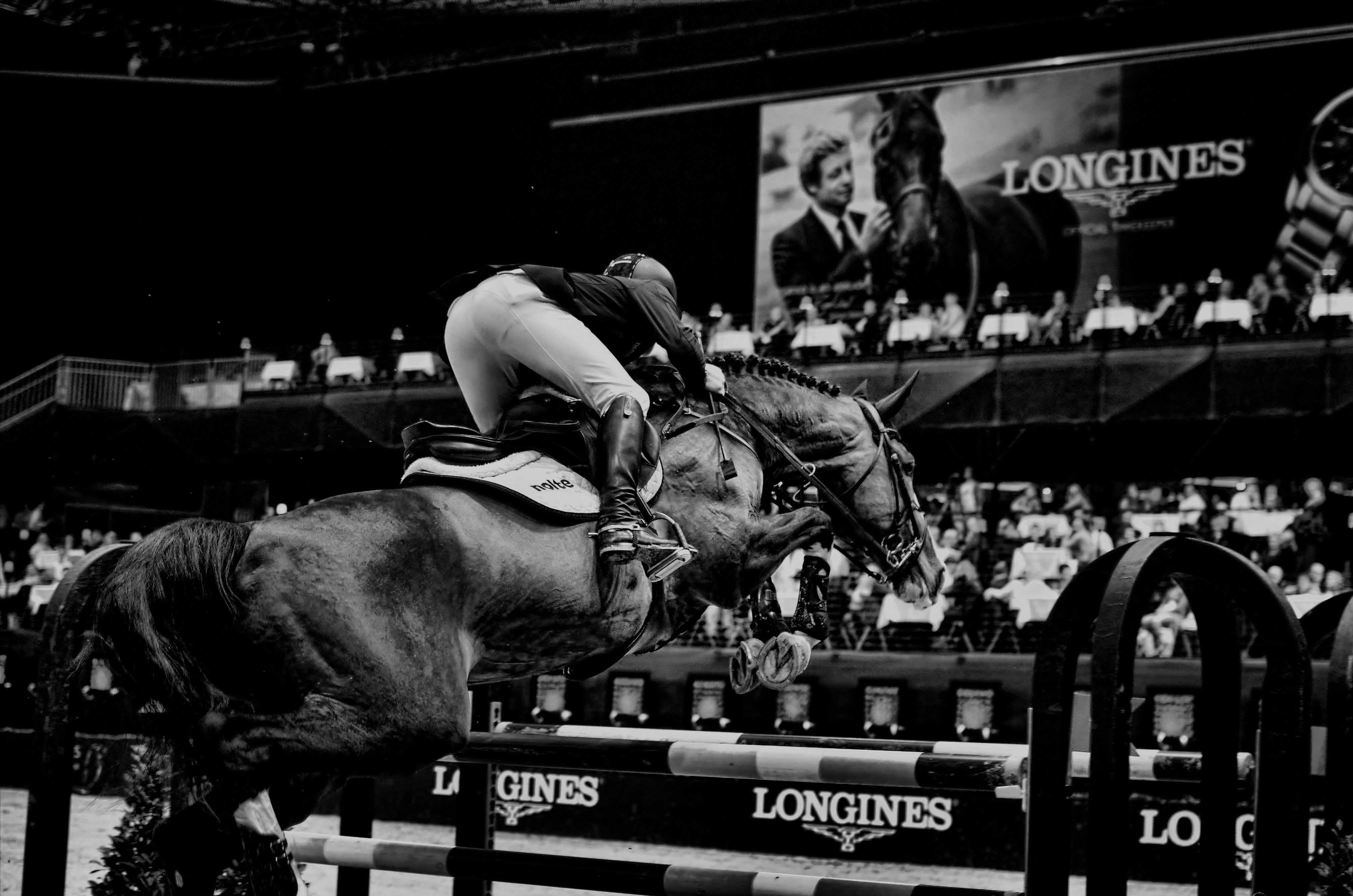 Show jumping horse sport basel free image download