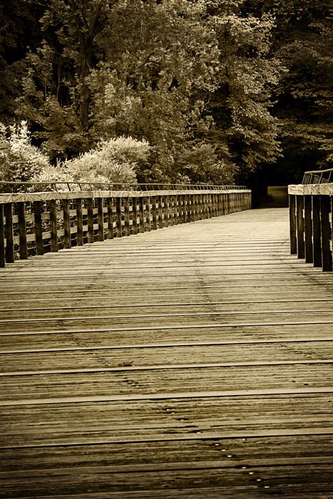 Bridge Web Away free image download