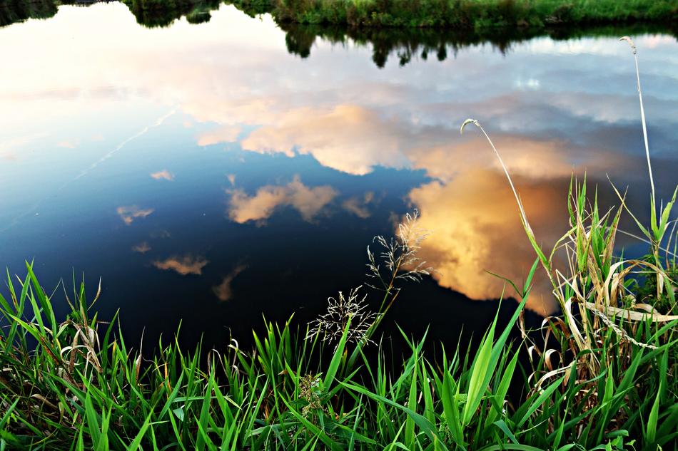 Water River Bank free image download