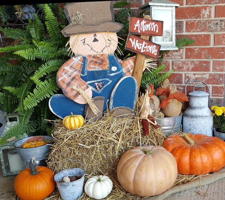 Scarecrow Fall Autumn free image download