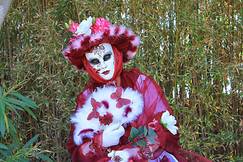 Beautiful lady in a masquerade costume with fan free image download