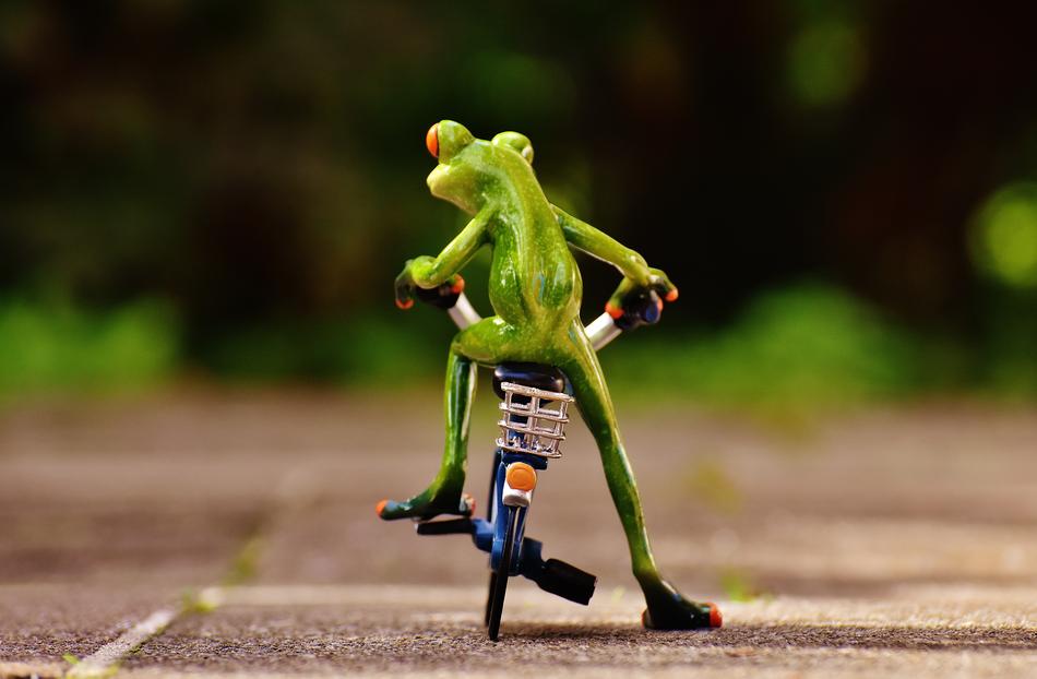 Frog Bike Funny free image download