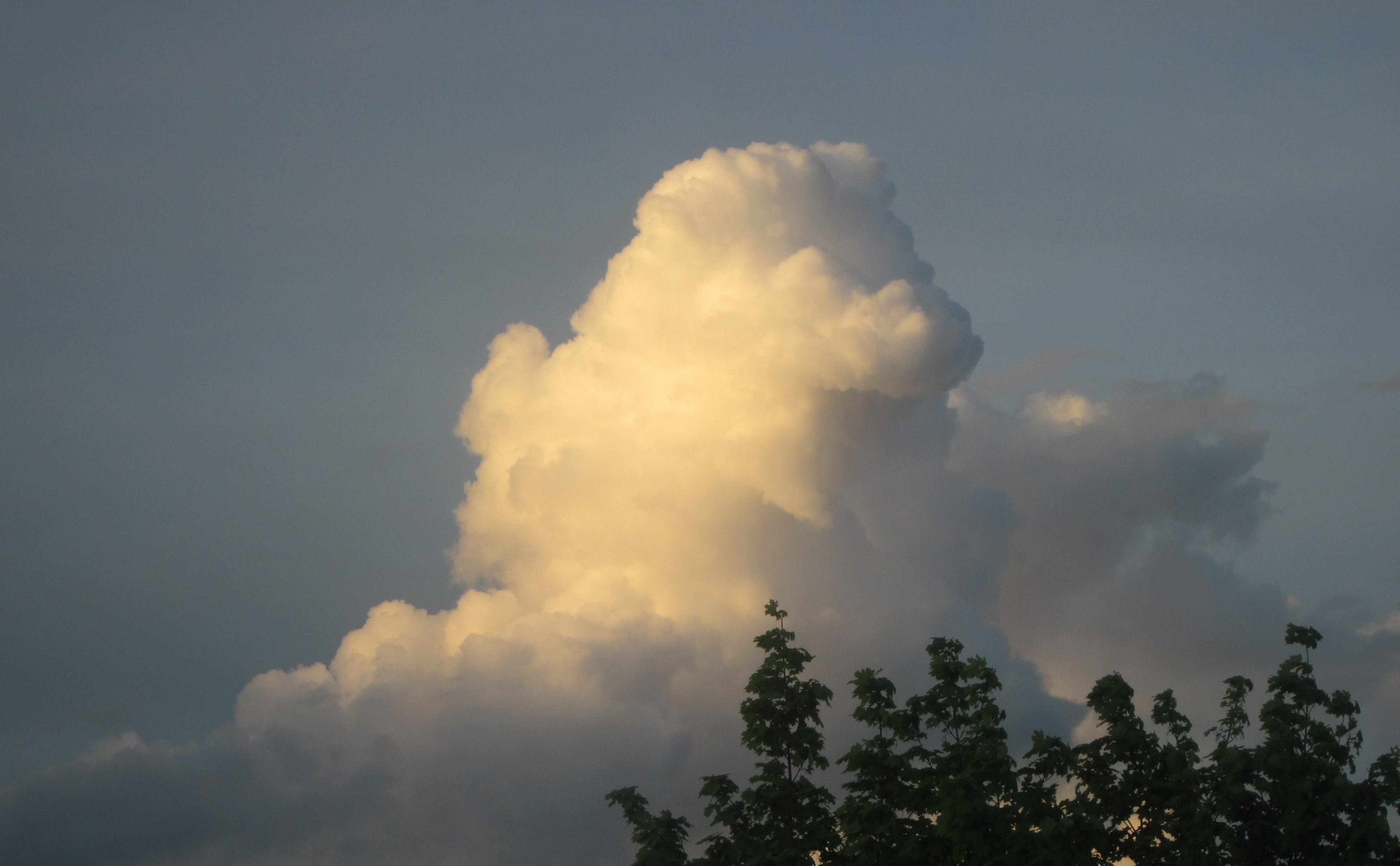 White cloud over the trees free image download