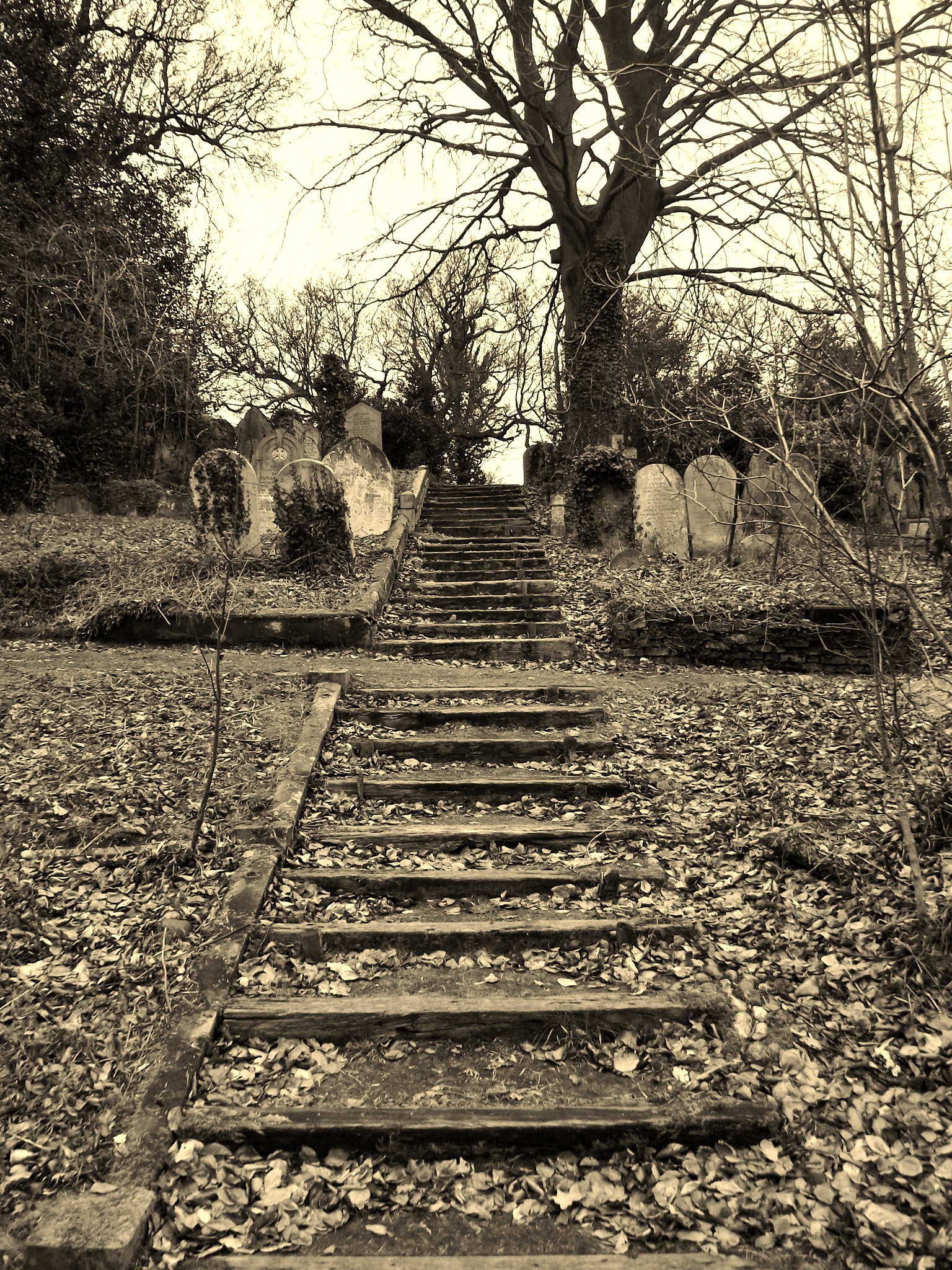 Cemetery Steps Graveyard free image download
