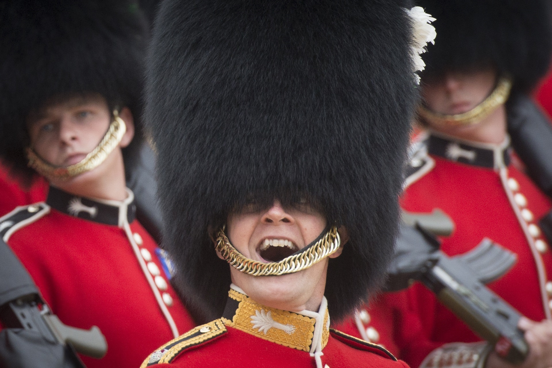 Military Army Foot Guards free image download