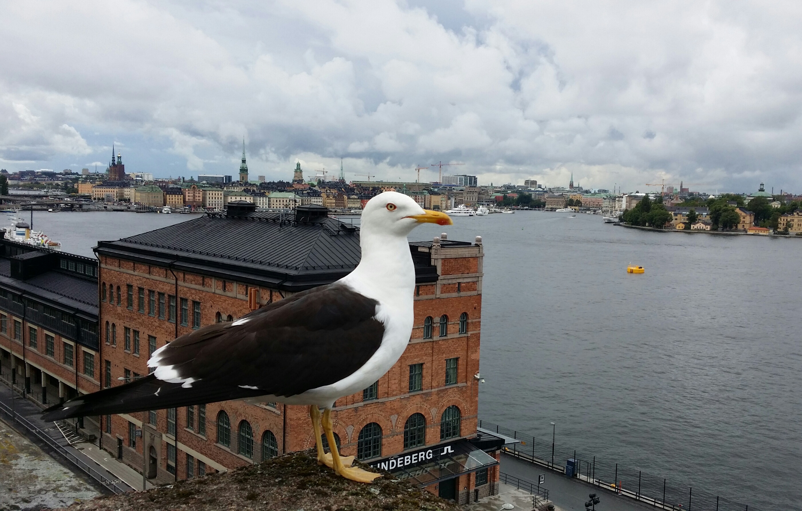 Trut Stockholm Bird'S Eye View free image download