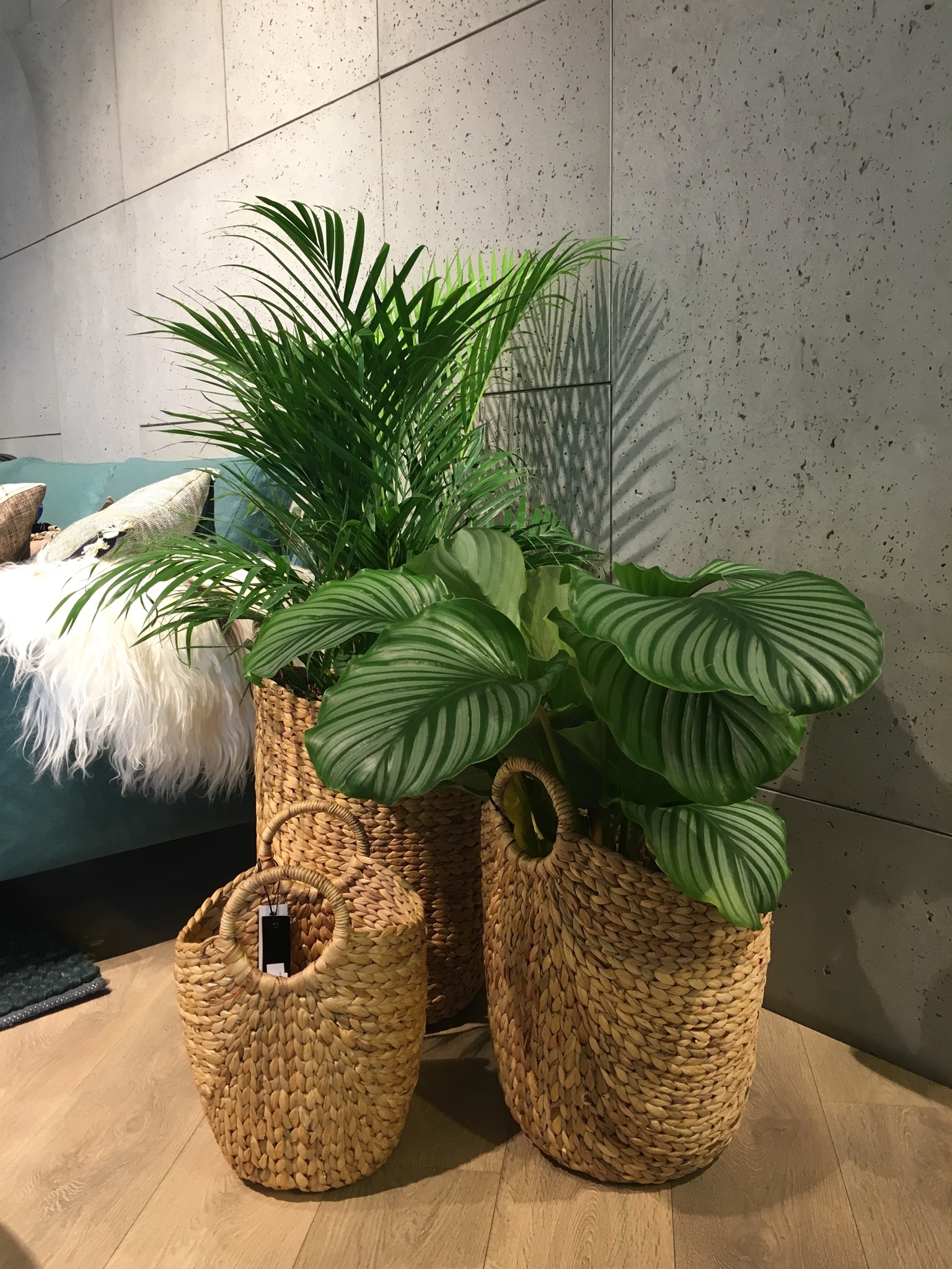 Basket Interior Flowers free image download