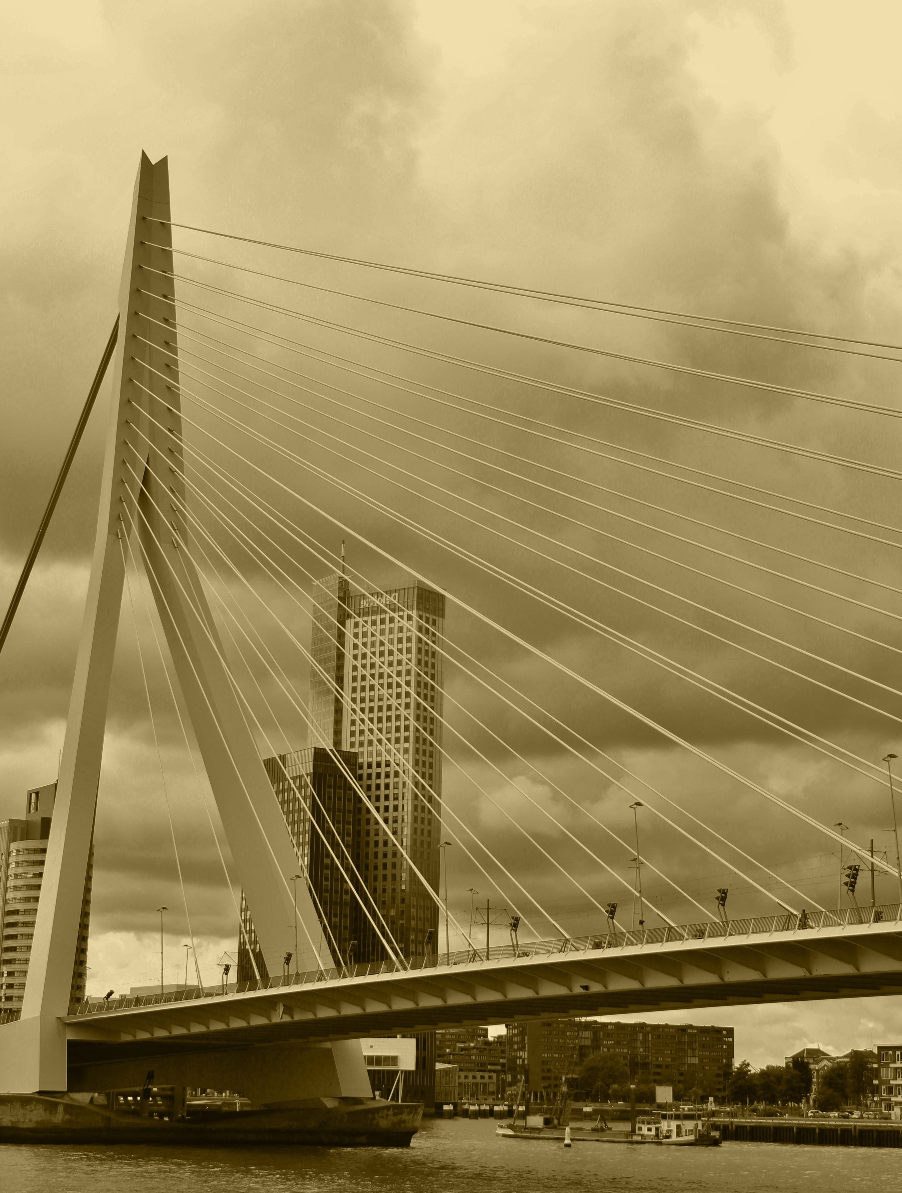 Beautiful white bridge in the city free image download