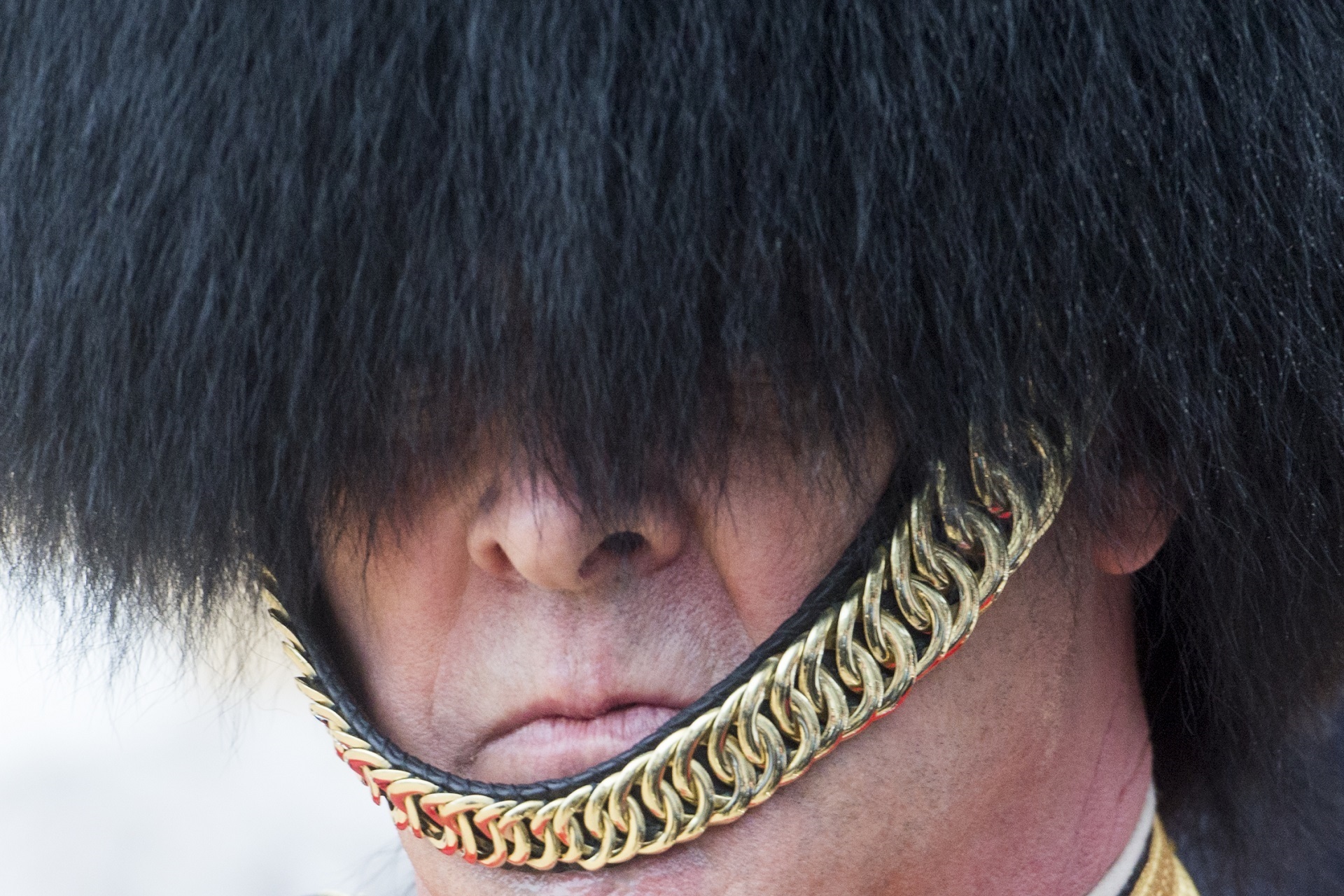 Military Army Foot Guards free image download