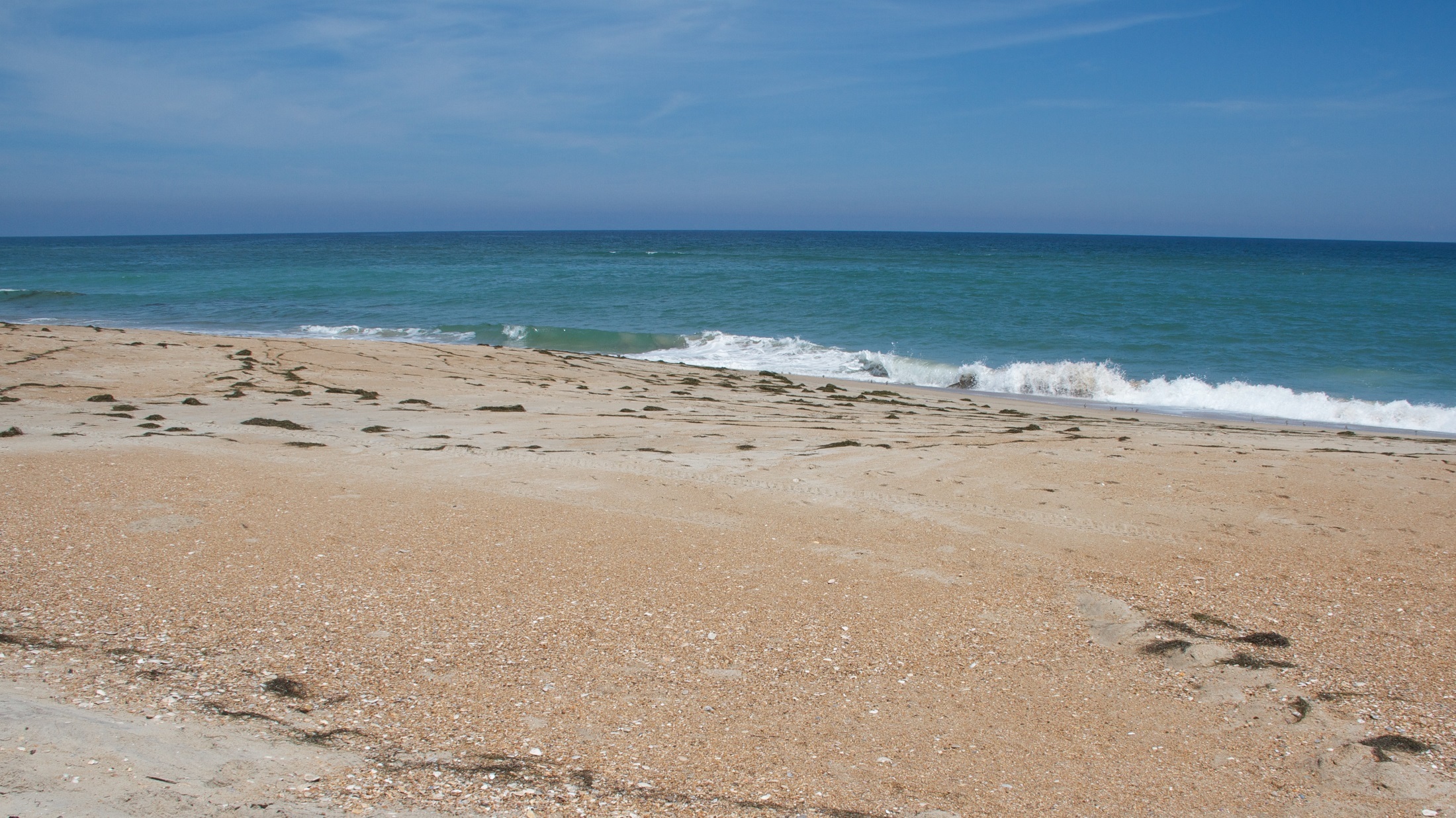 Seashore Waves view free image download