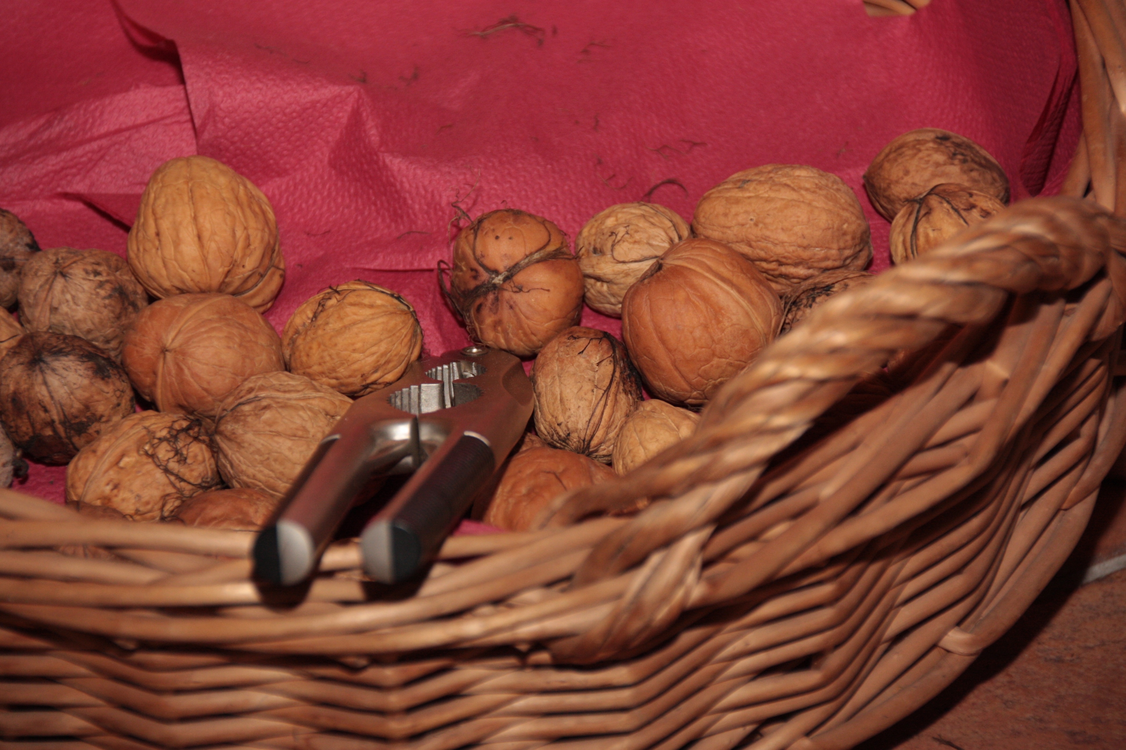 Walnut Basket Walnuts In The free image download