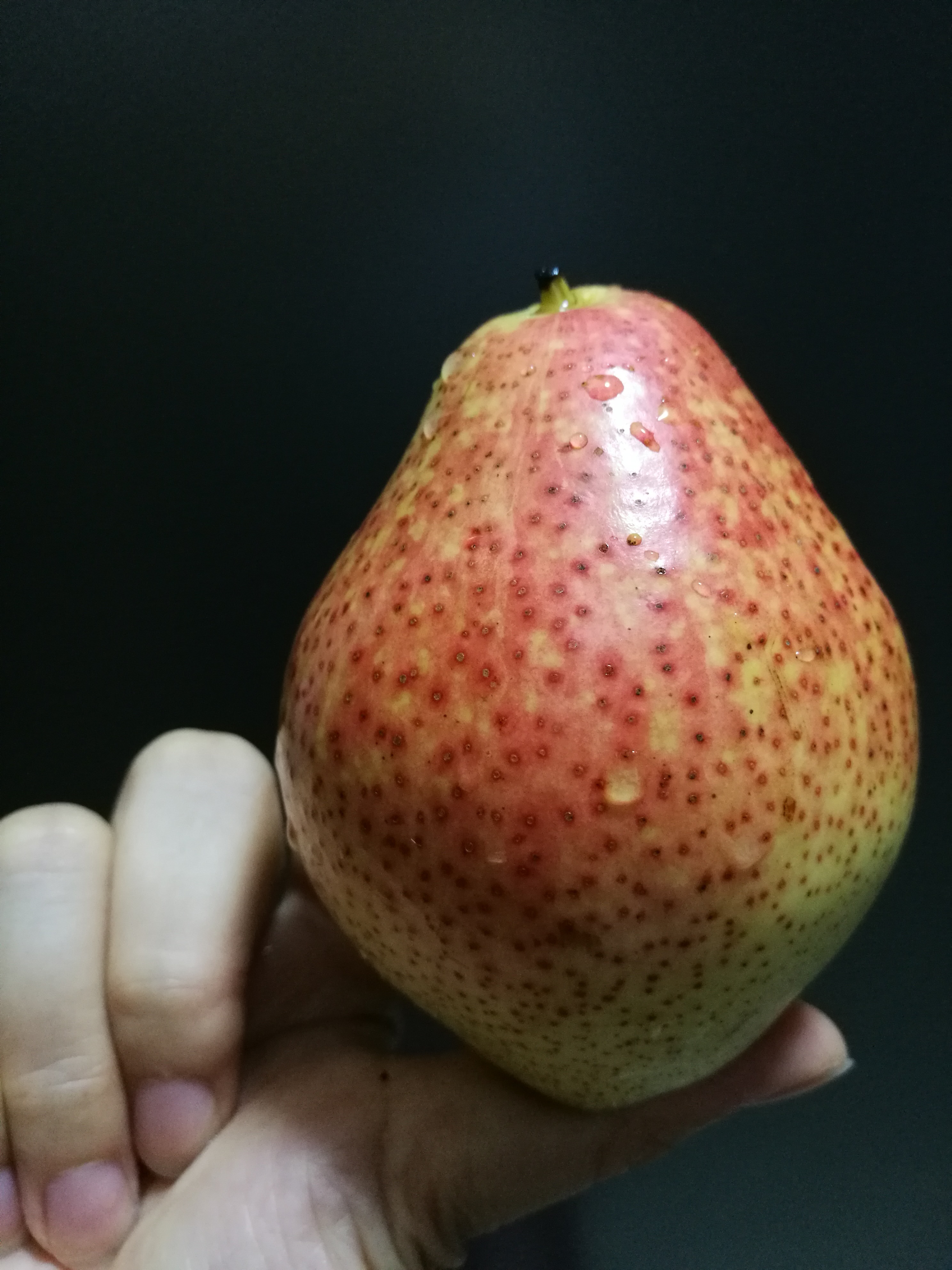 Plum Static China free image download