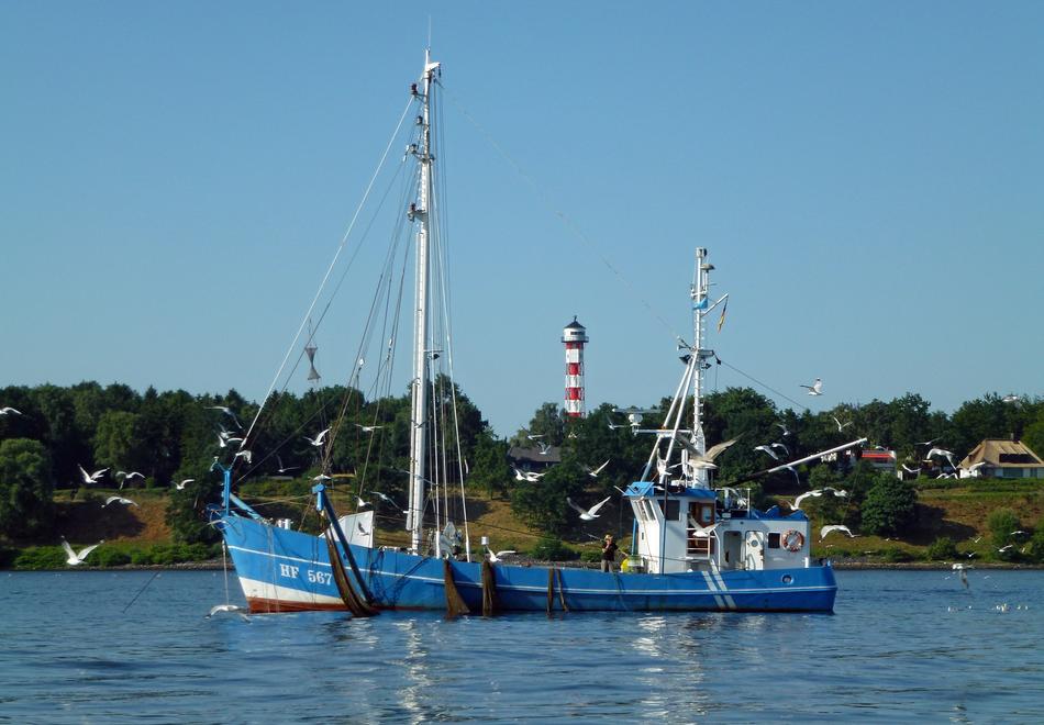 Elbe Fisherman Fishing Vessel free image download