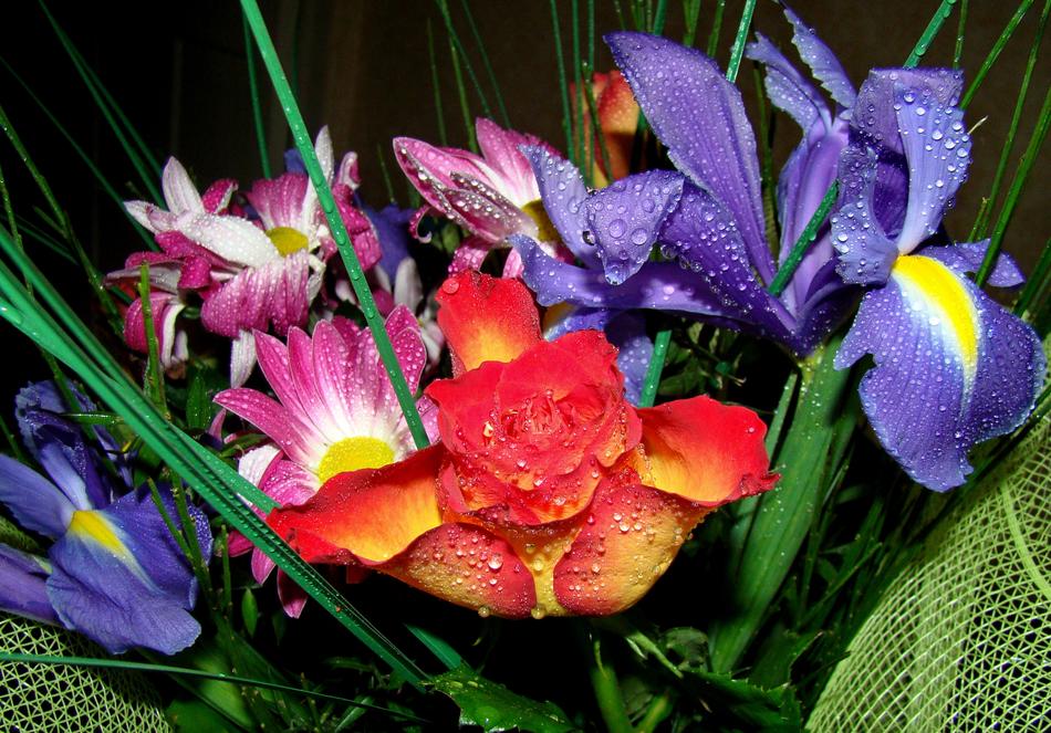 Flowers Bouquet Many Colors free image download