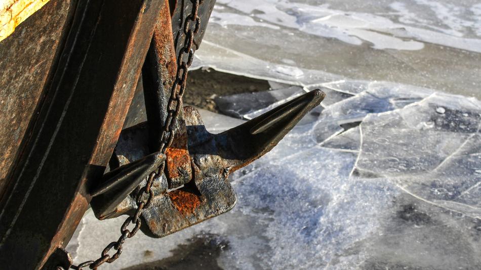 Anchor Bug Rusty Ship free image download
