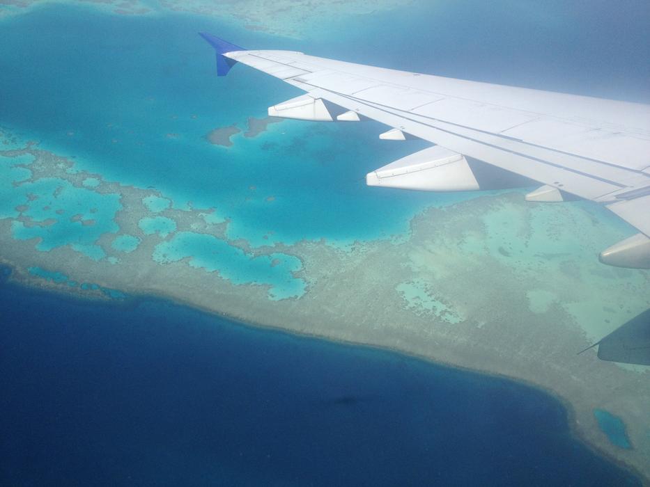 Denmark Spring Fly free image download