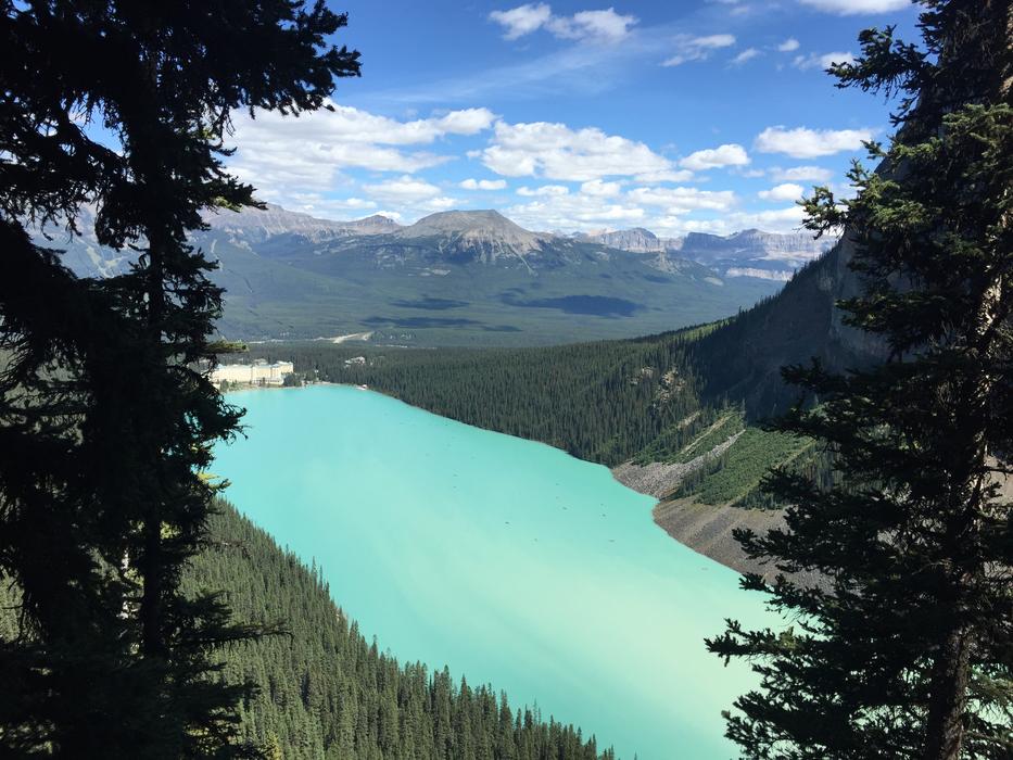 Blue hidden lake in the forest free image download