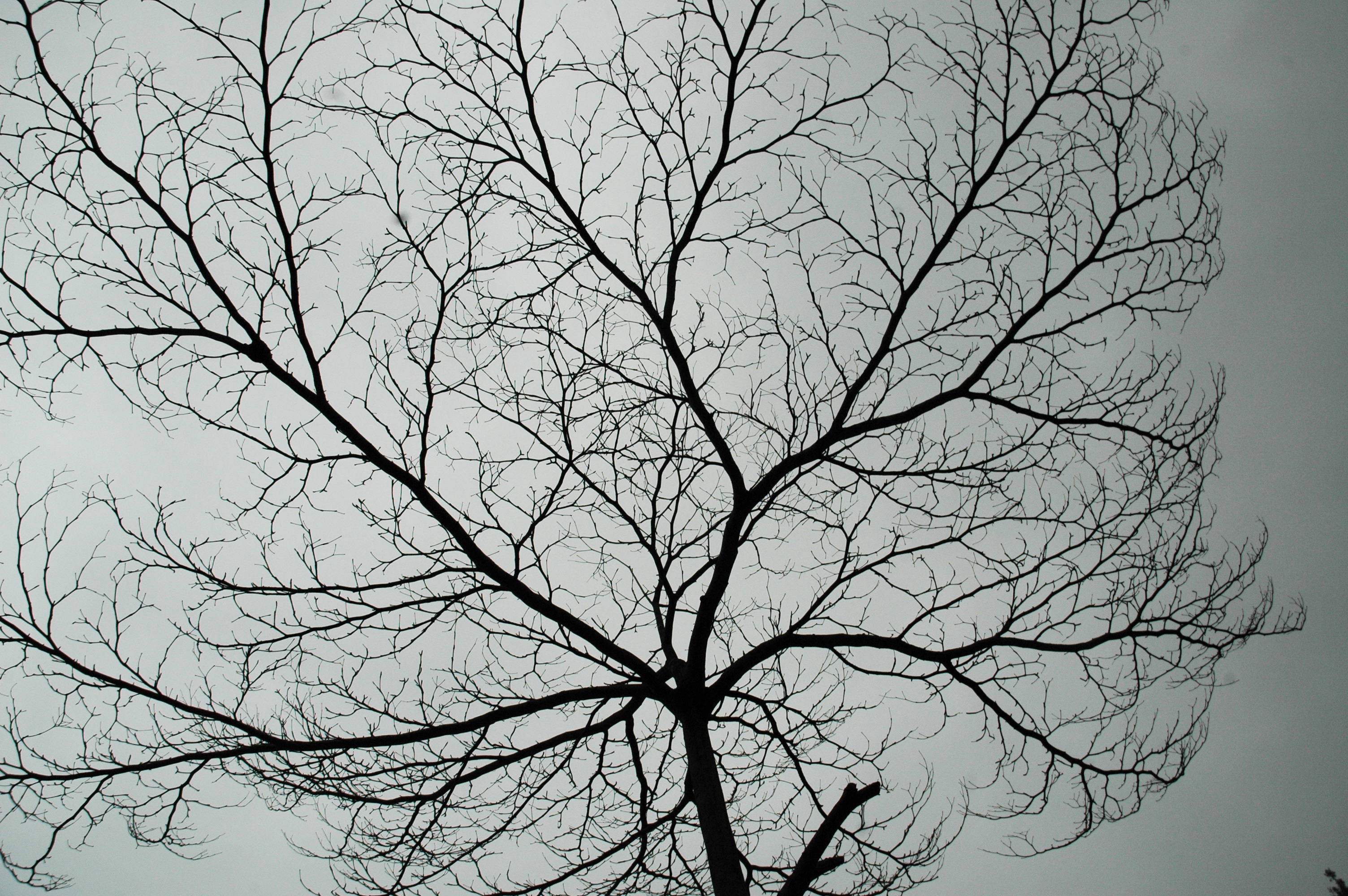 To Heaven Stretch Aesthetic feeling free image download