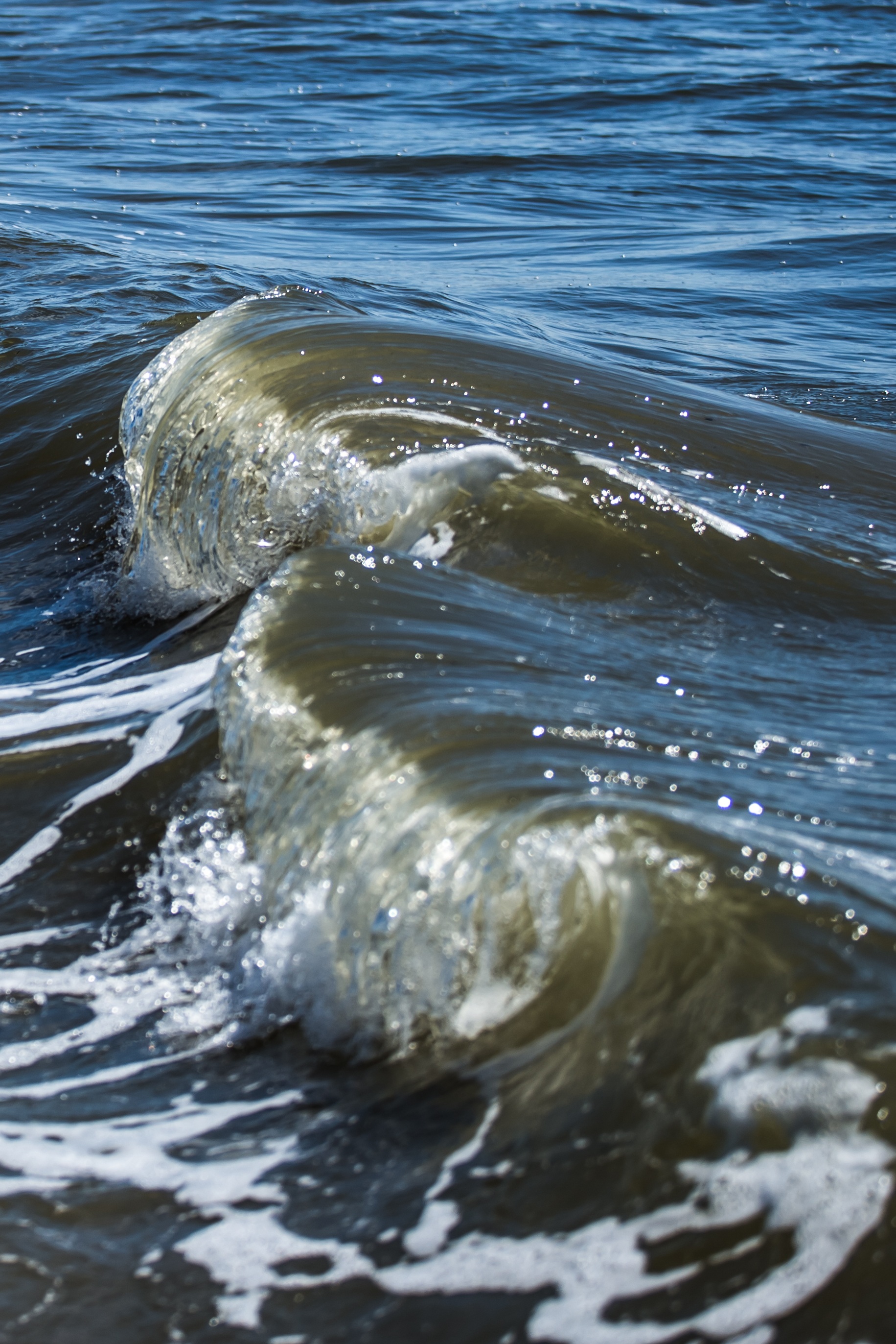 Wave Water Sea free image download