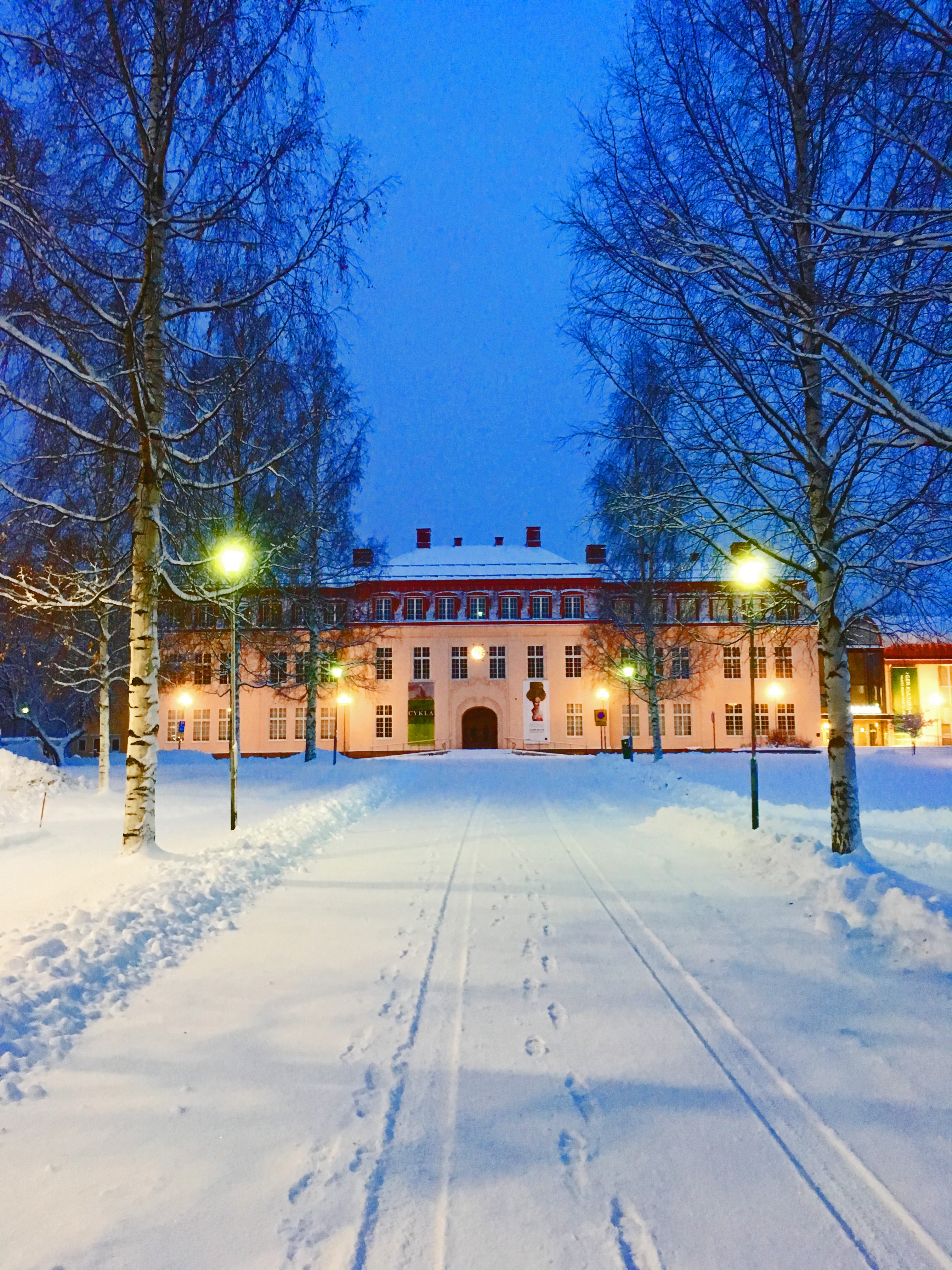 Nordanå Skellefteå Winter free image download