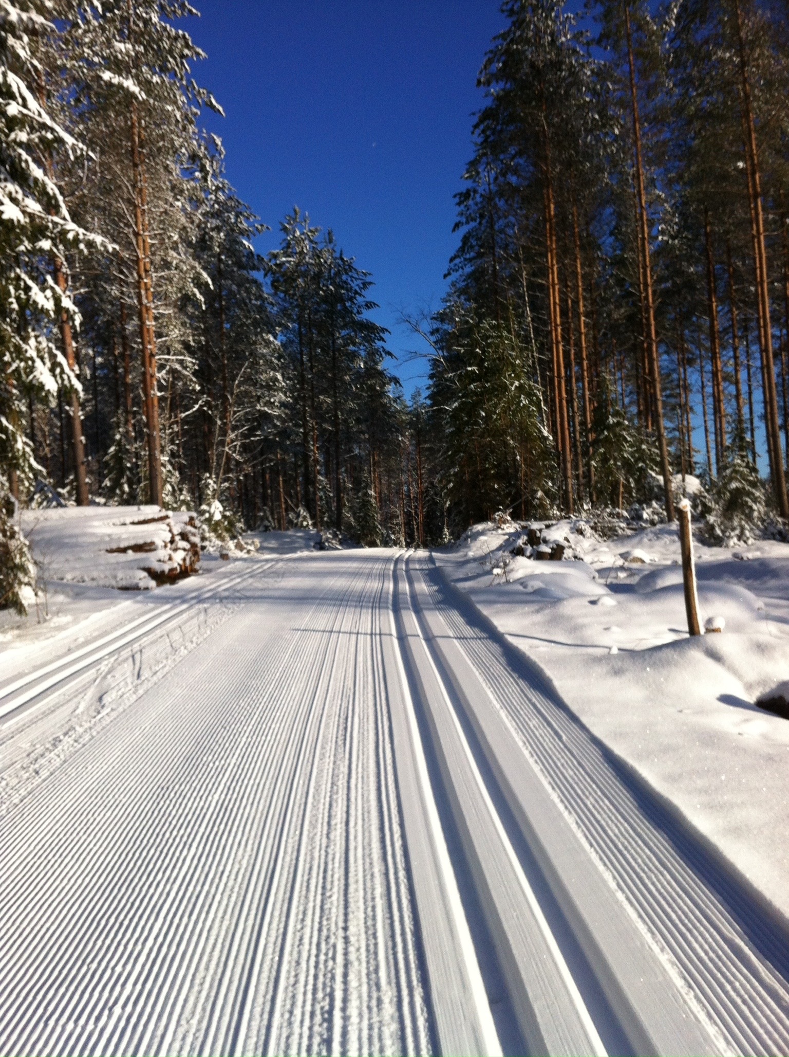 Cross-Country Trail free image download