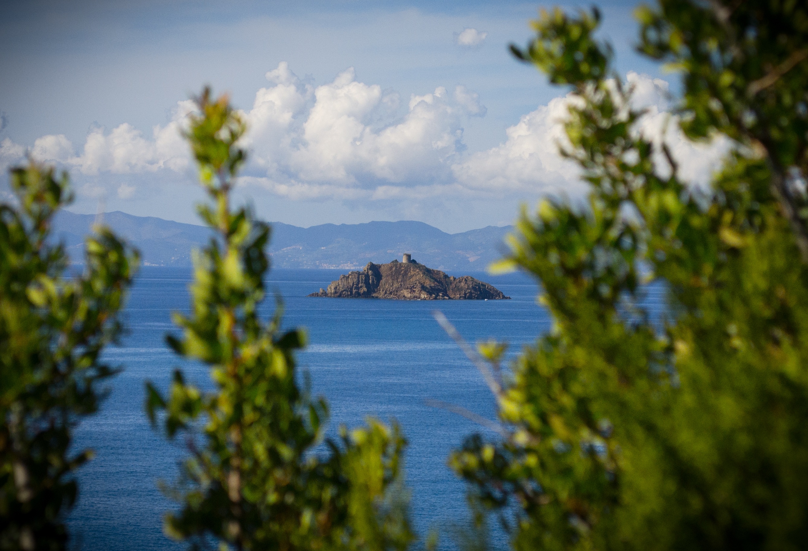Sea Island Beach landscape free image download