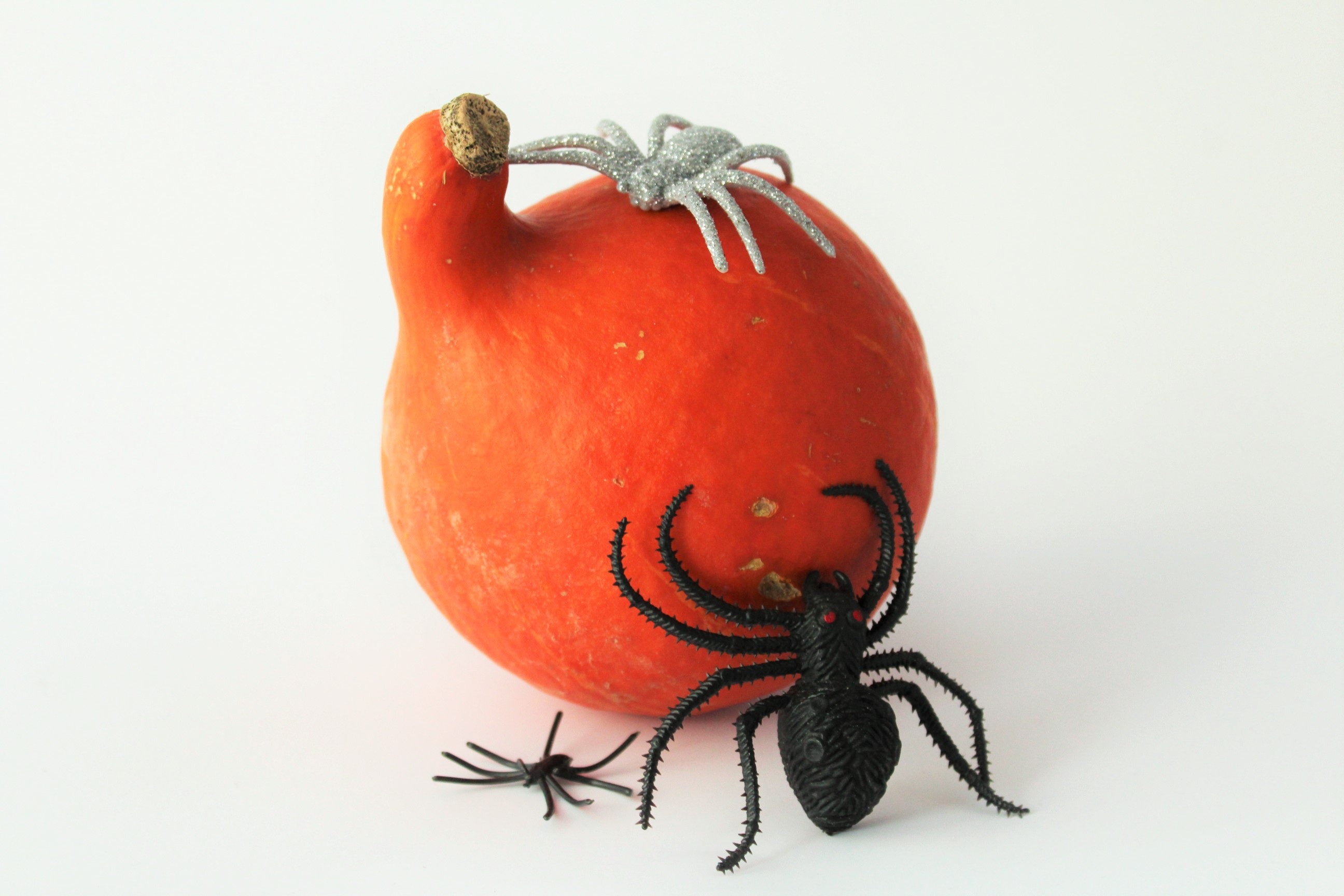 Pumpkins Halloween Spin free image download