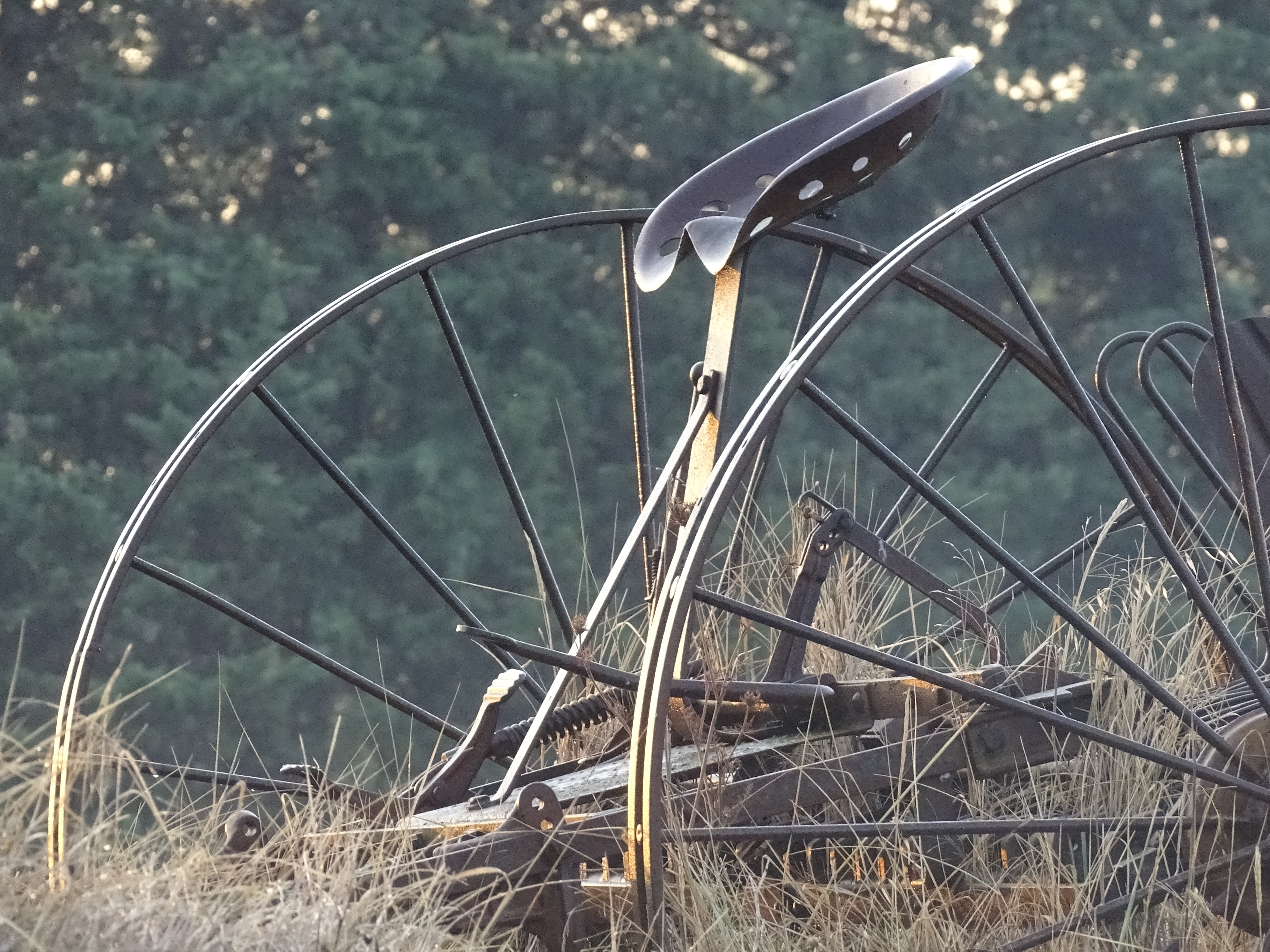 Tool Light Sun Morning free image download