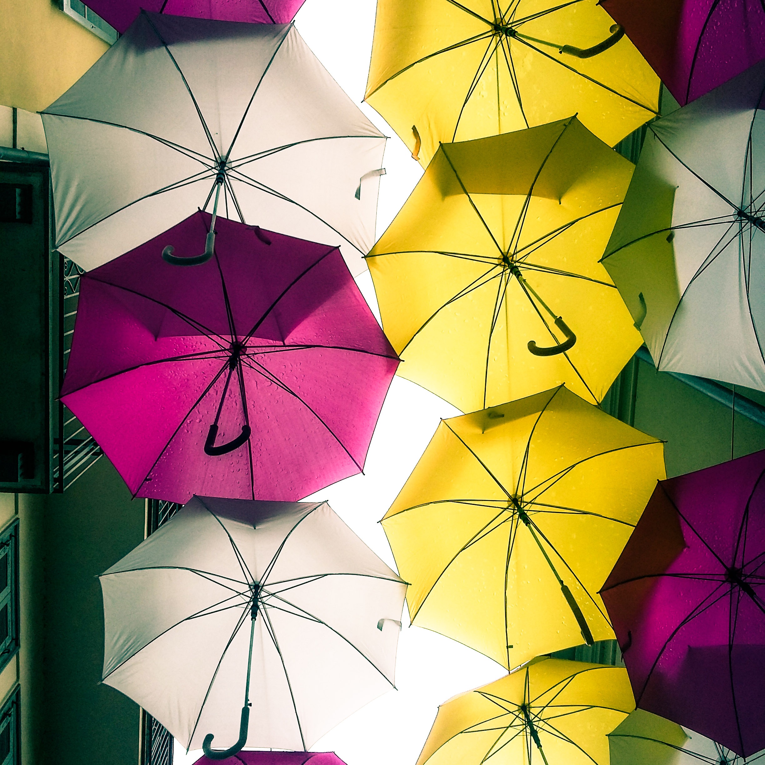 Umbrella Umbrellas Rain free image download