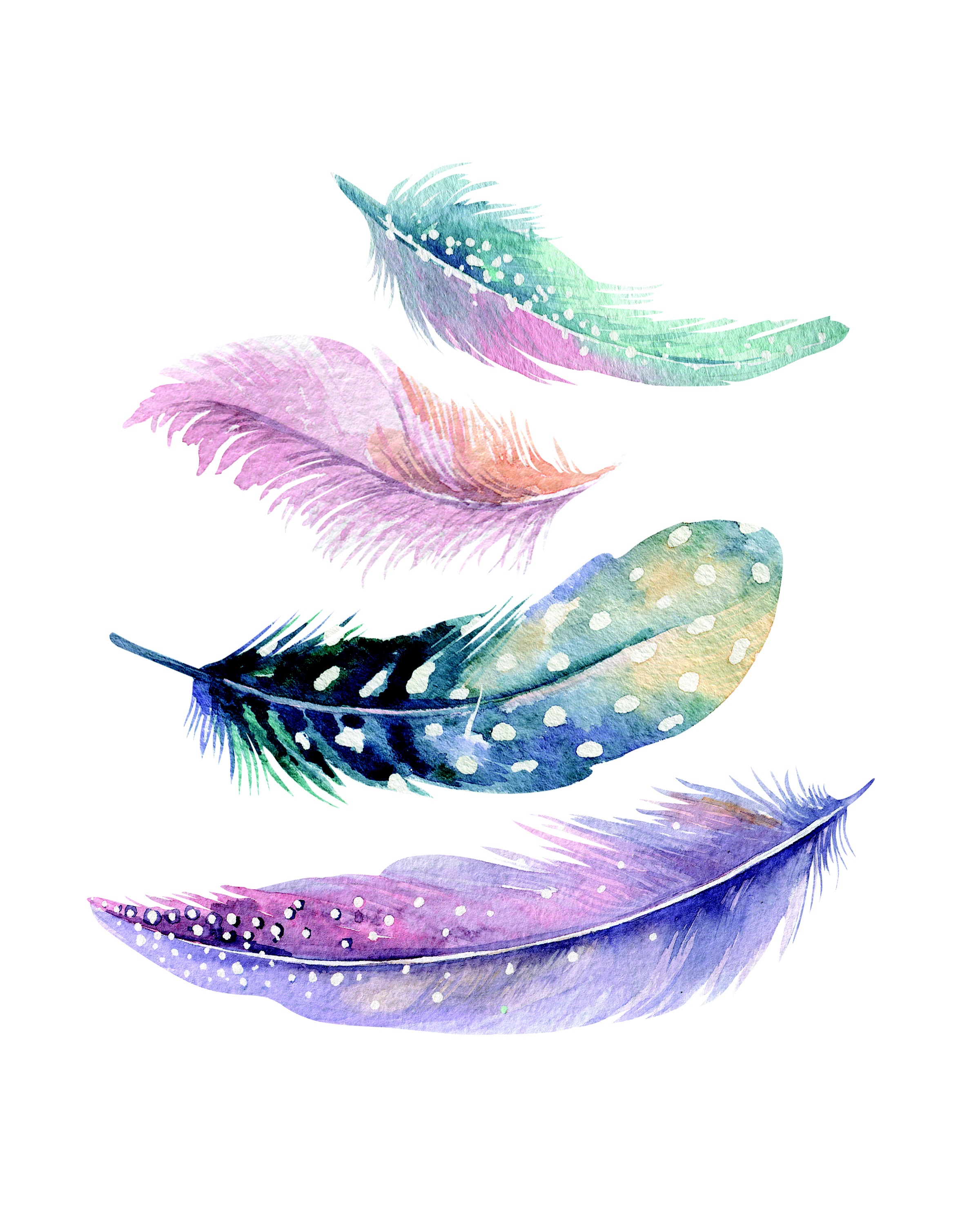 Feather wall art decoration free image download
