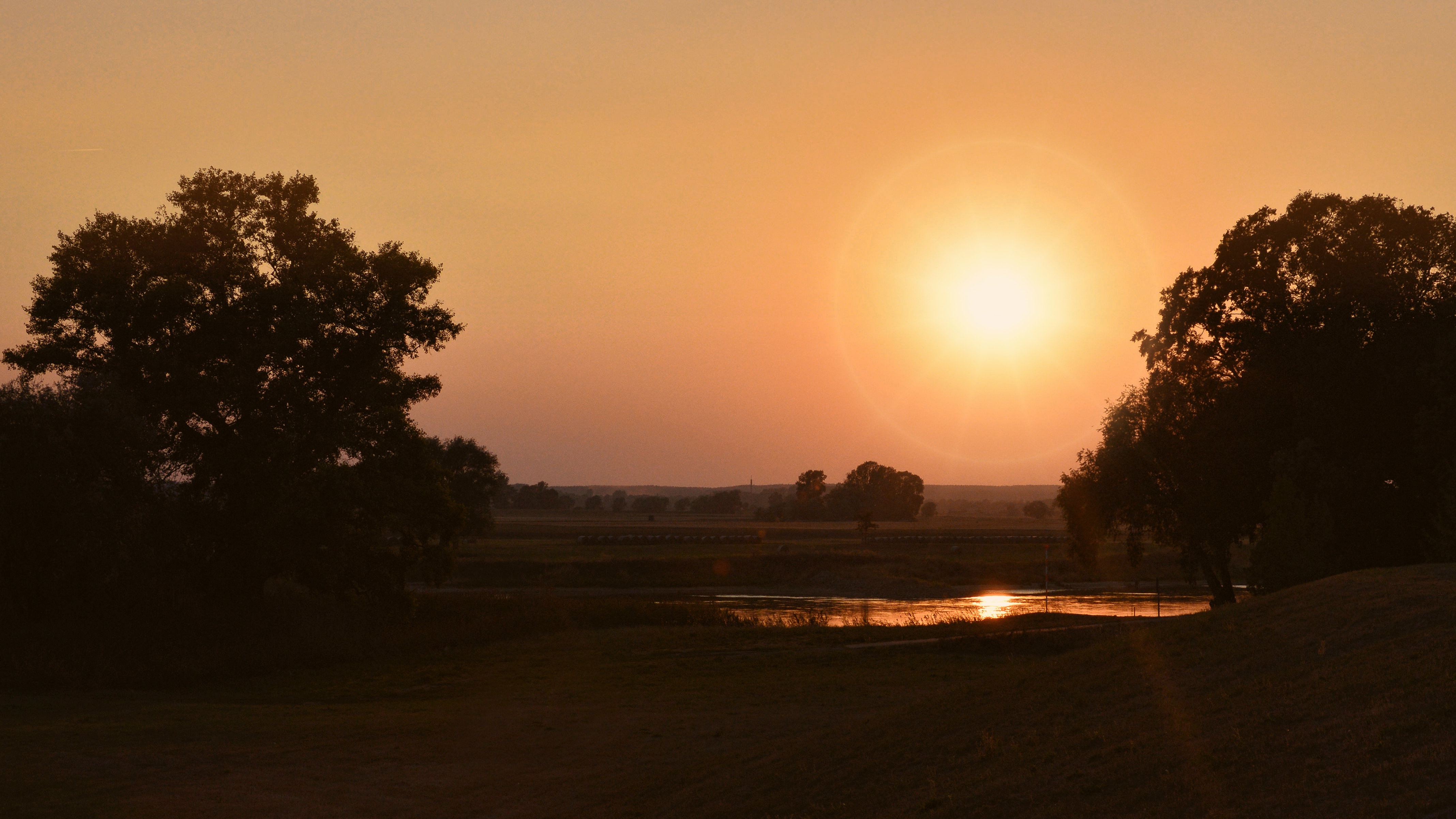 Sunset Landscape Trees Evening free image download