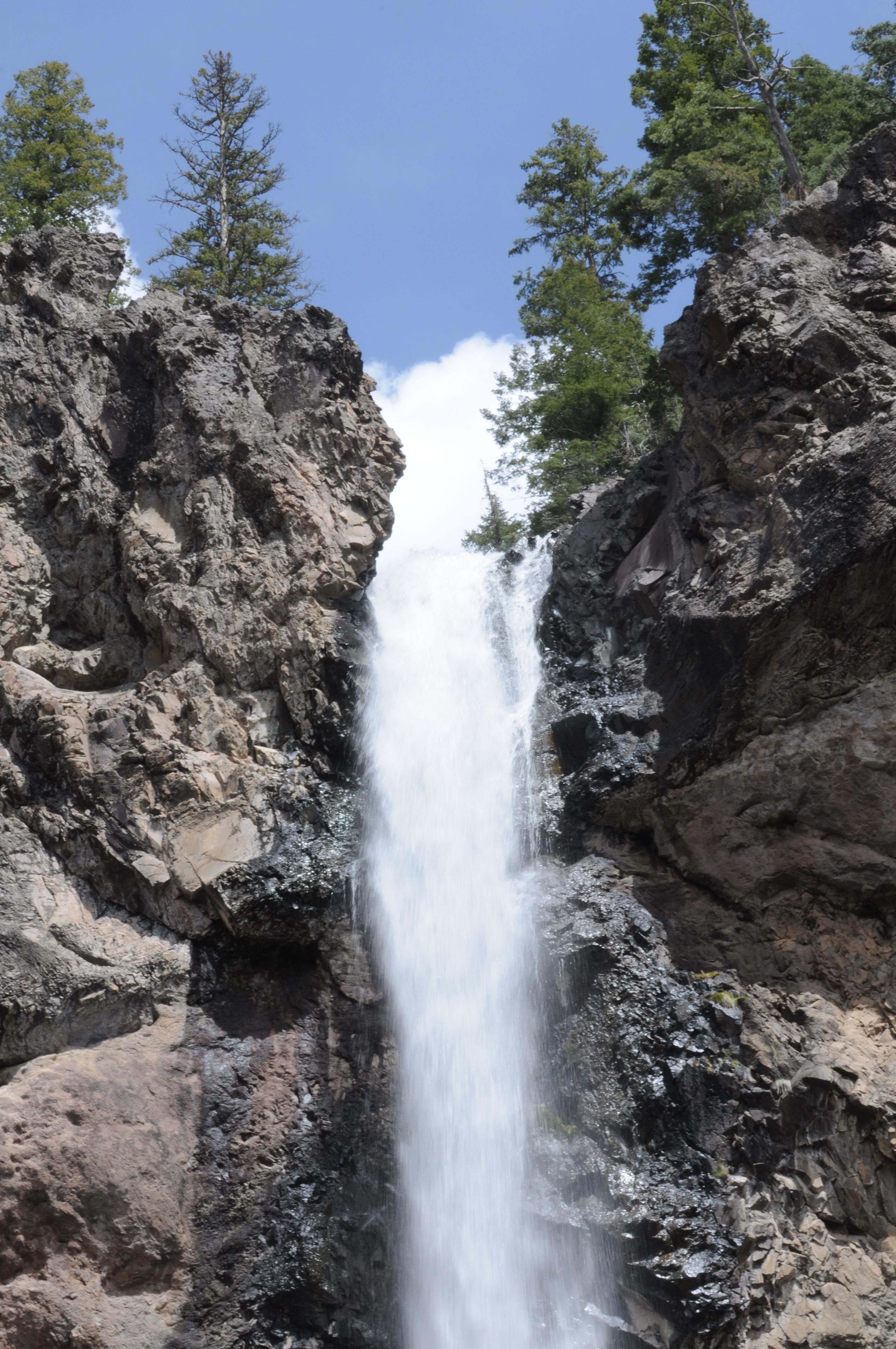 Waterfall Pine Tree free image download