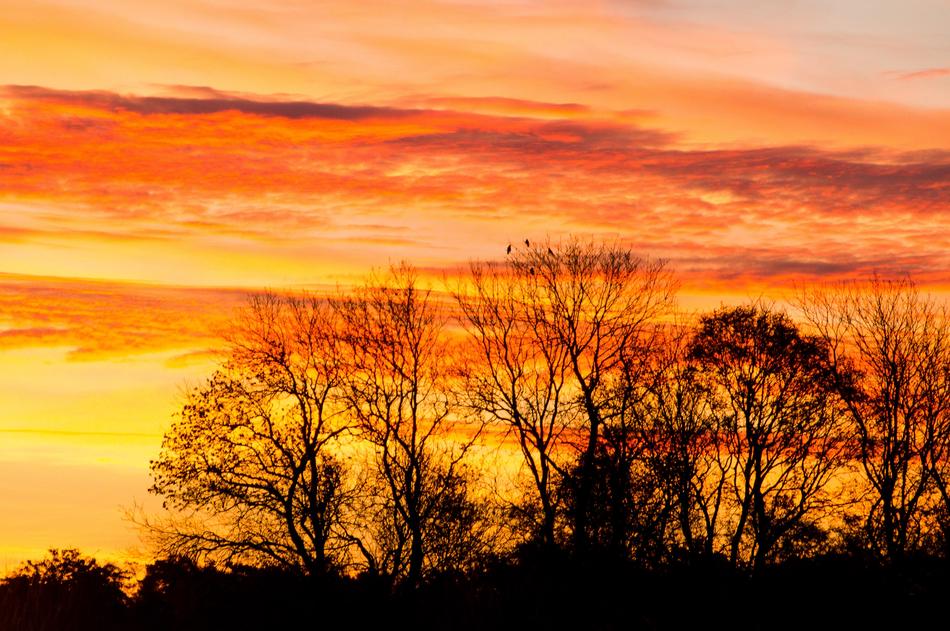 Morning Sun Åmosen Sunrise Orange free image download