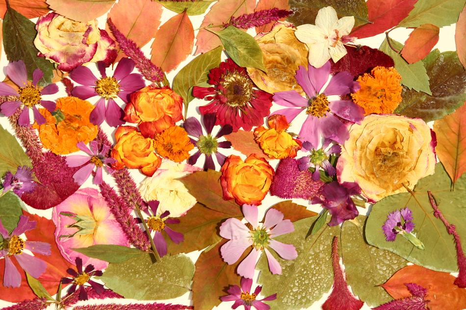 Table Fall Spring Festival free image download