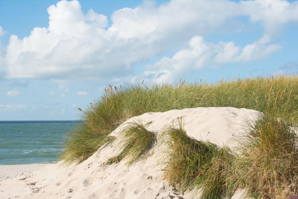 Beach Dunes Sylt North sea free image download