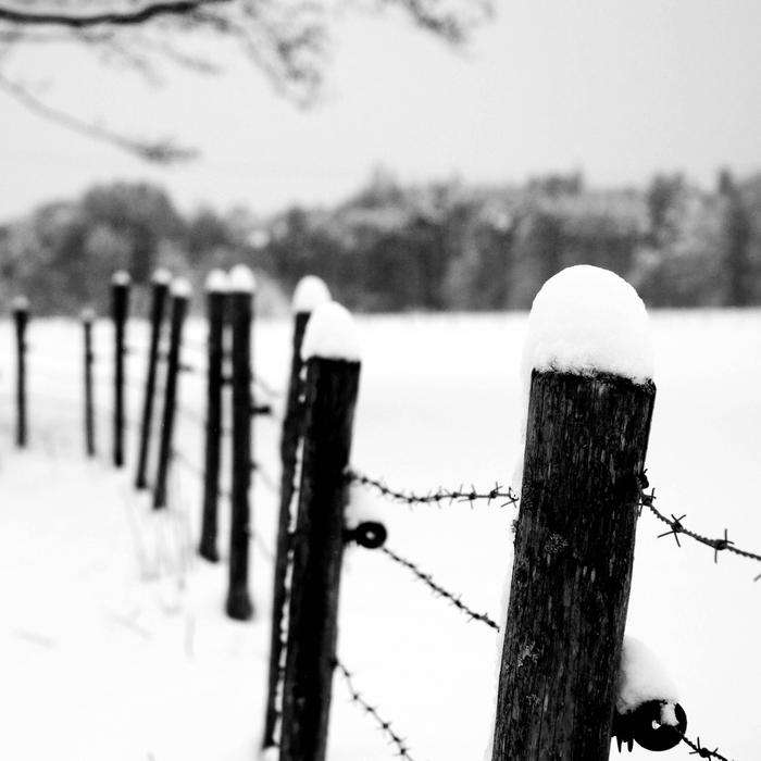 Winter Fence Sw free image download