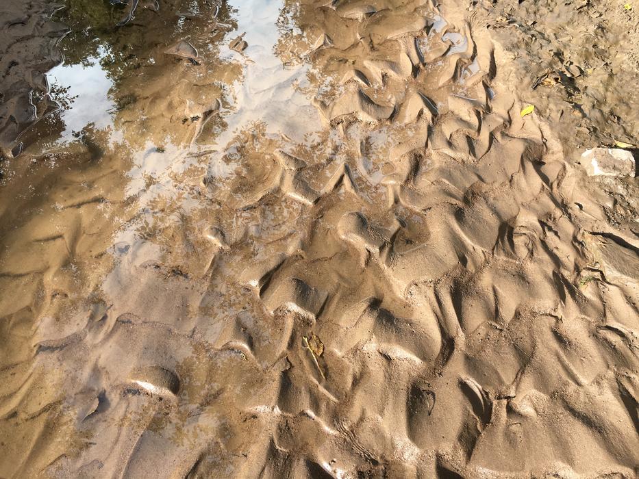 Riverbed Creek Bed free image download