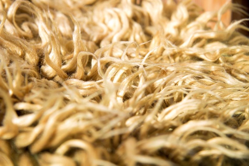 Close up of the wool free image download