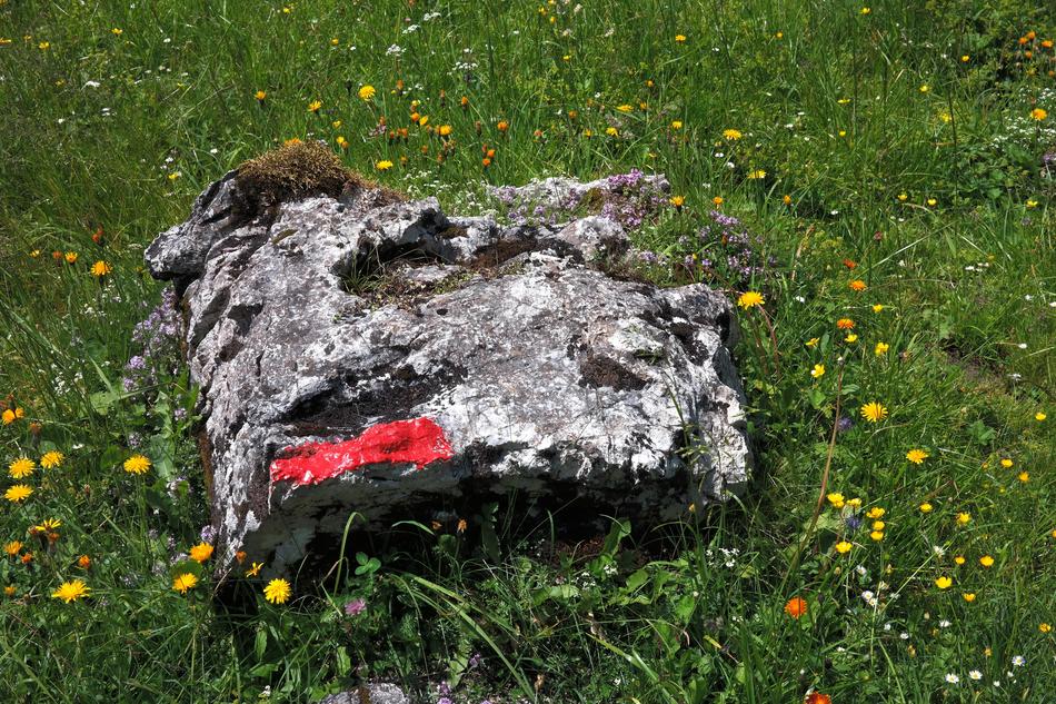 Signpost Waymarks Migratory free image download