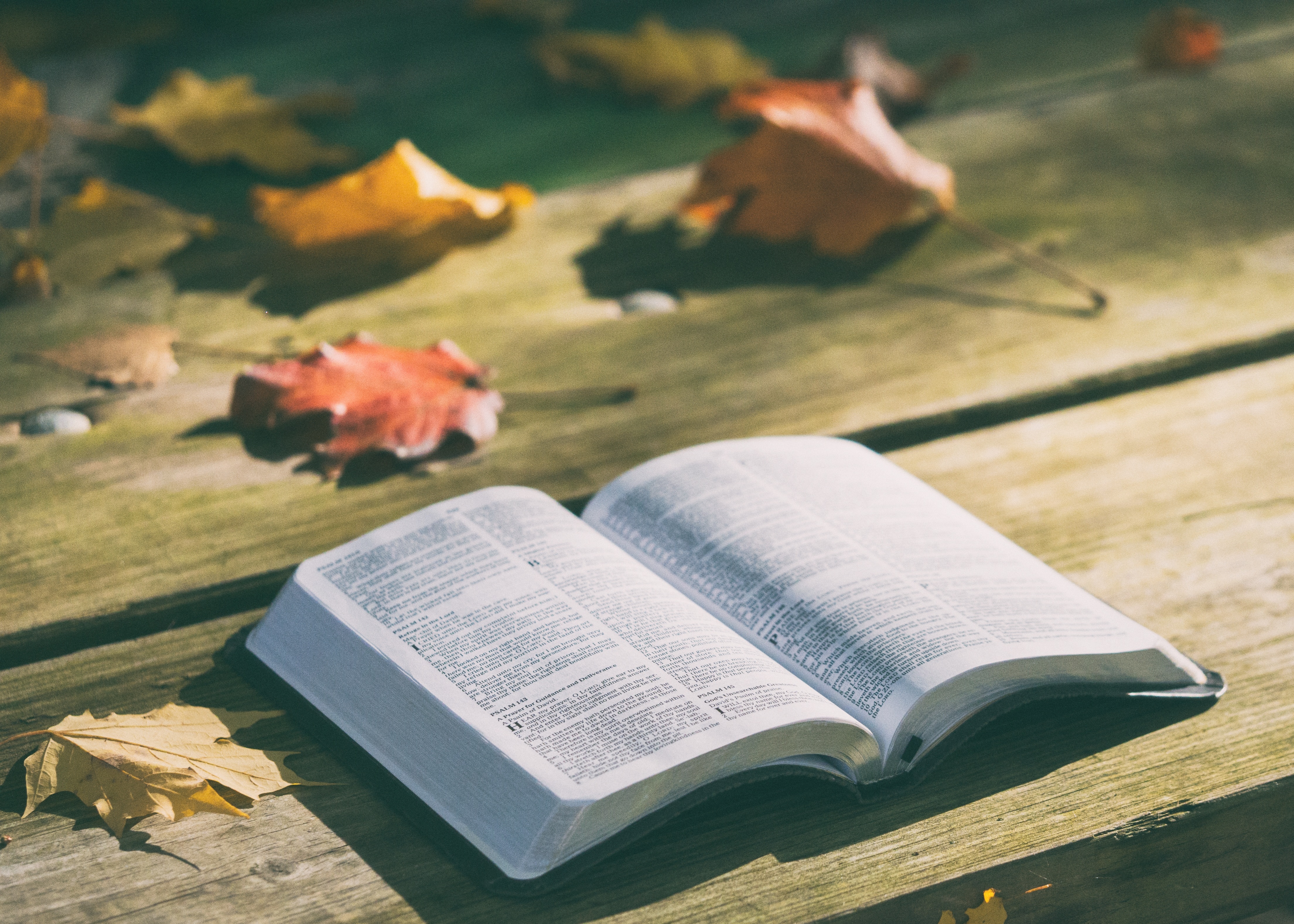 Bible Book Knowledge free image download