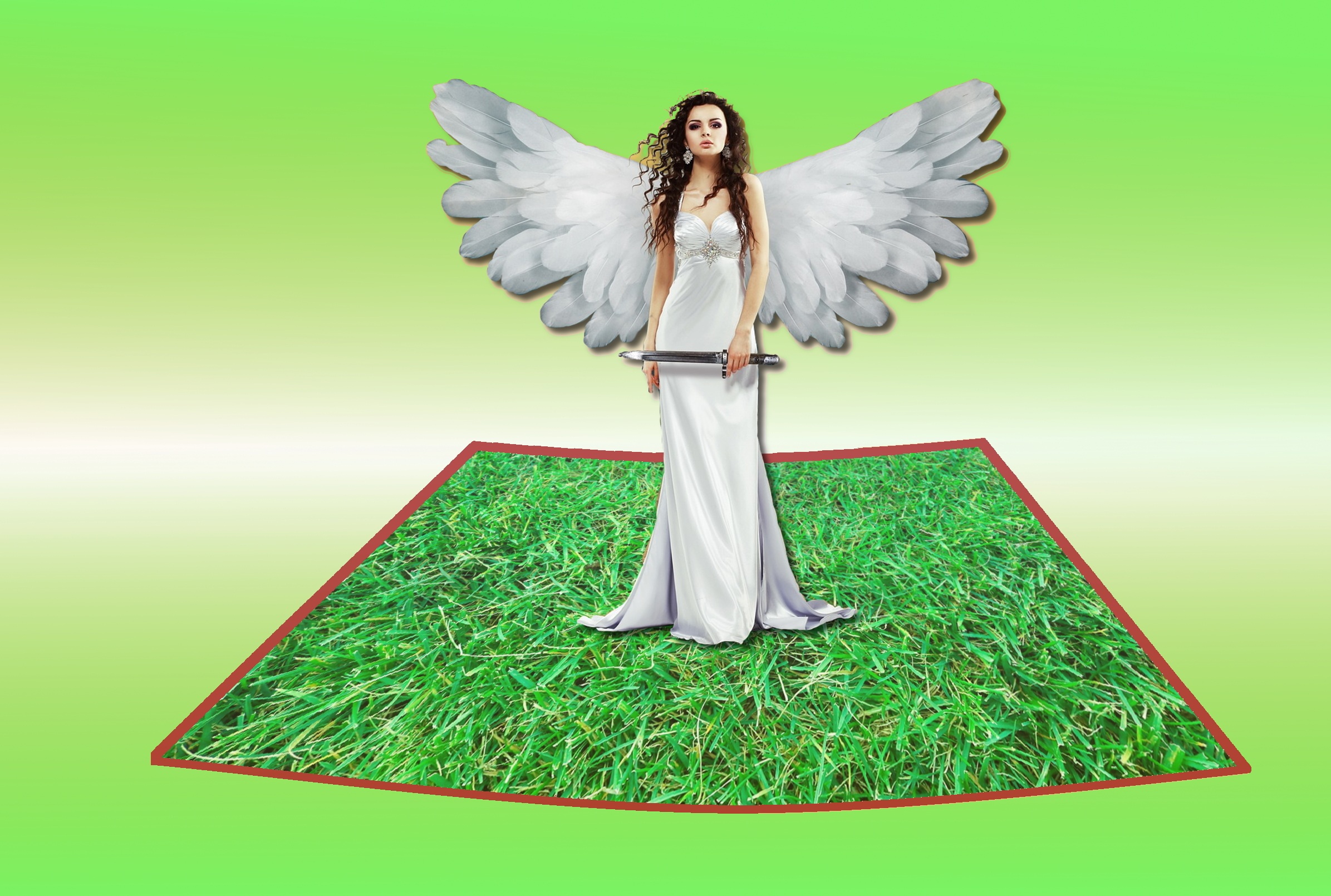 Angel meadow white wing free image download