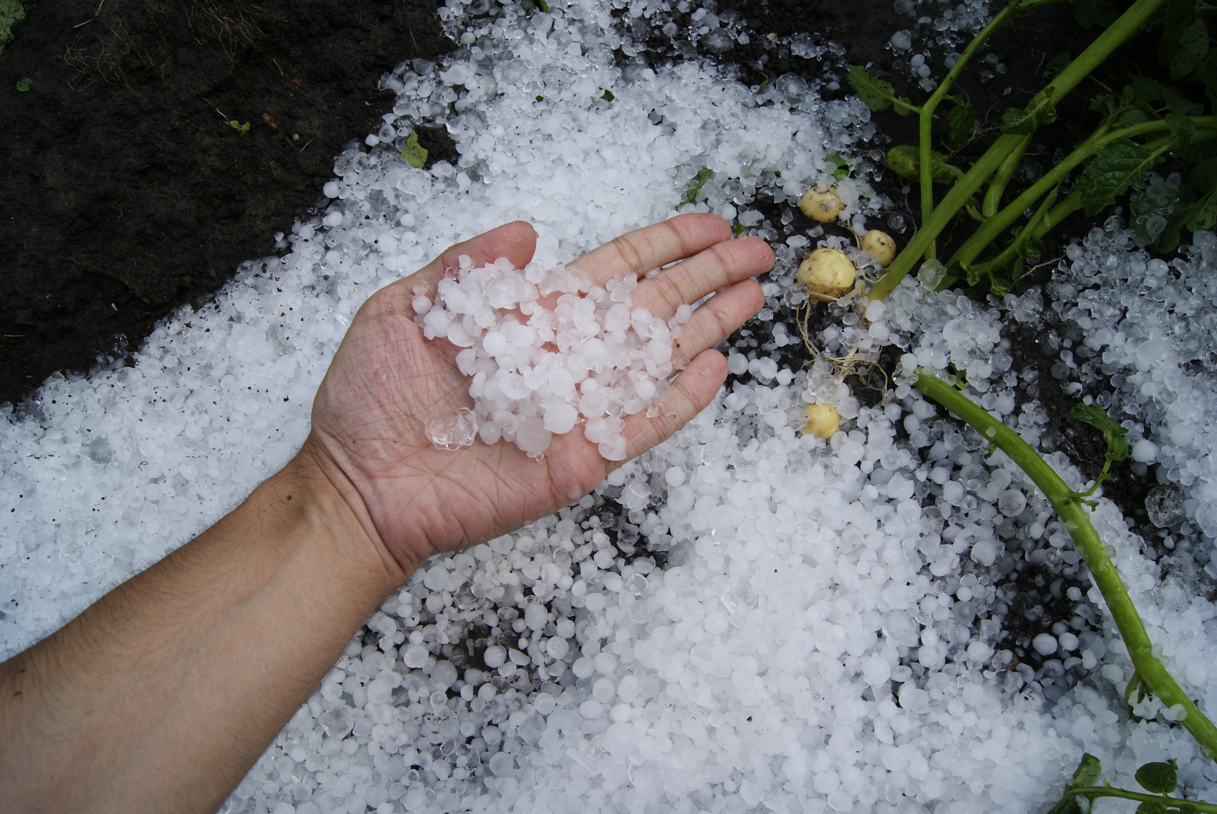 Cold hail on hand and ground free image download