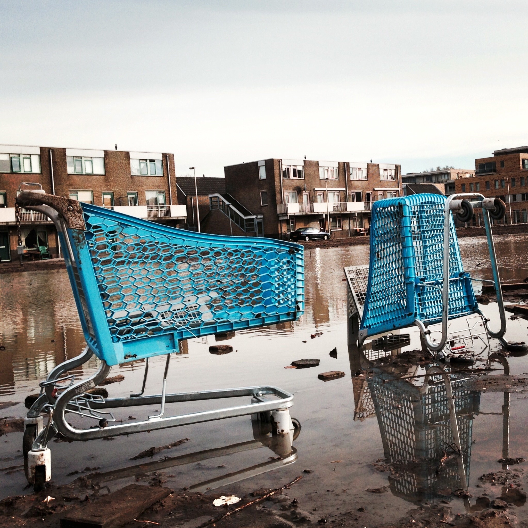 Blue shopping carts free image download