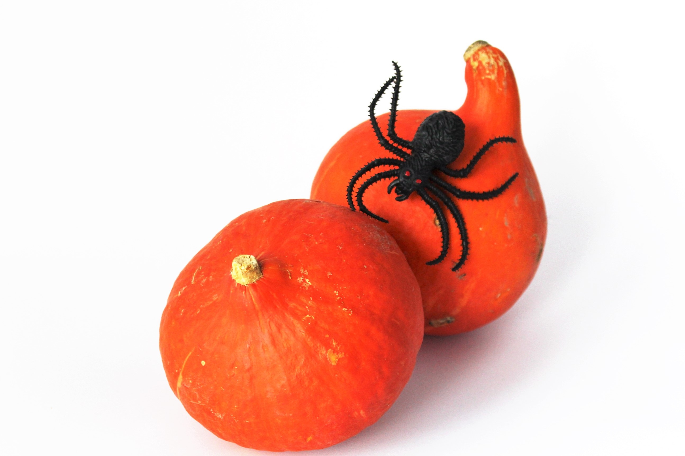 Fruit spider black kind free image download