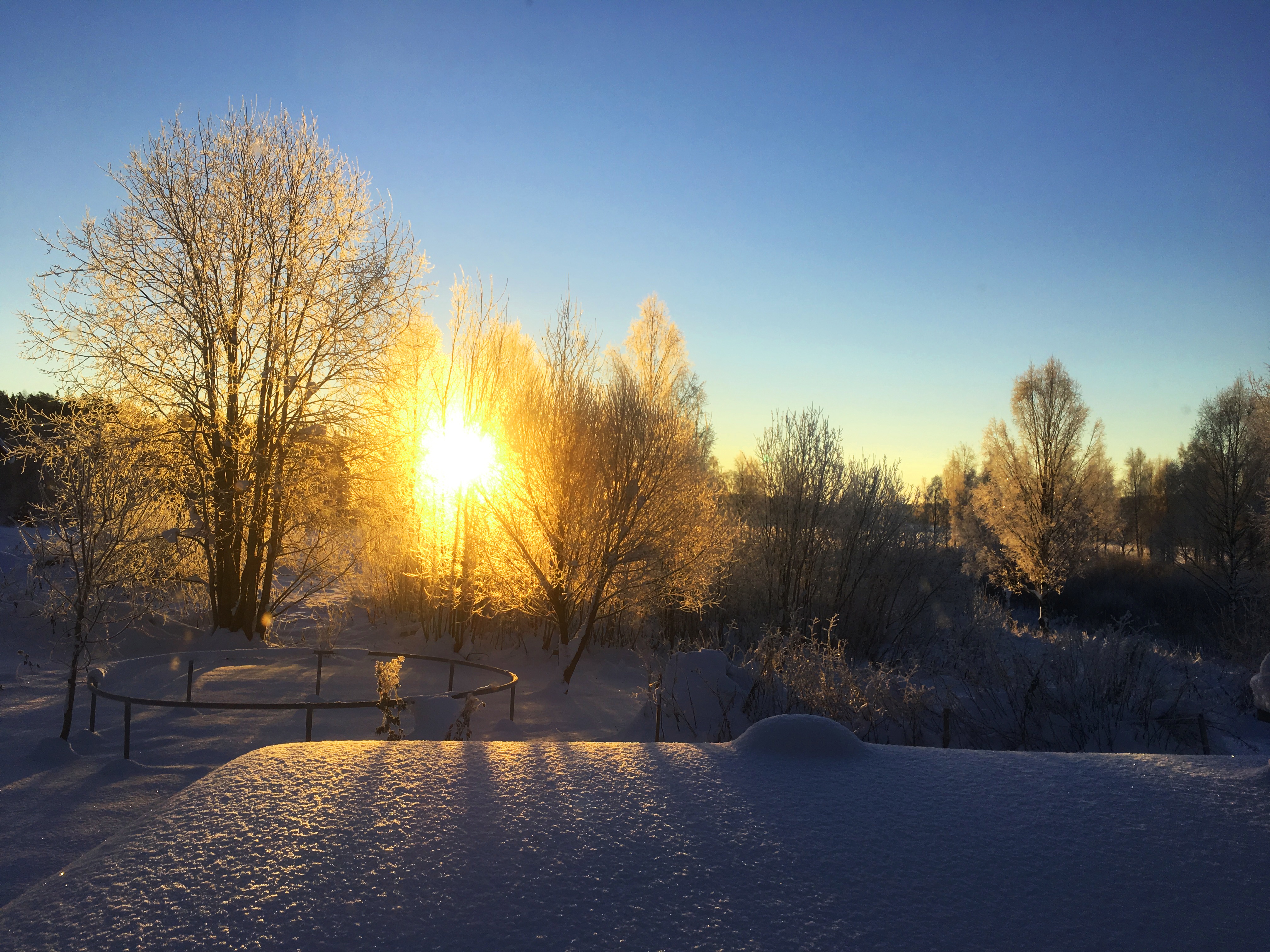 Beautiful winter morning free image download