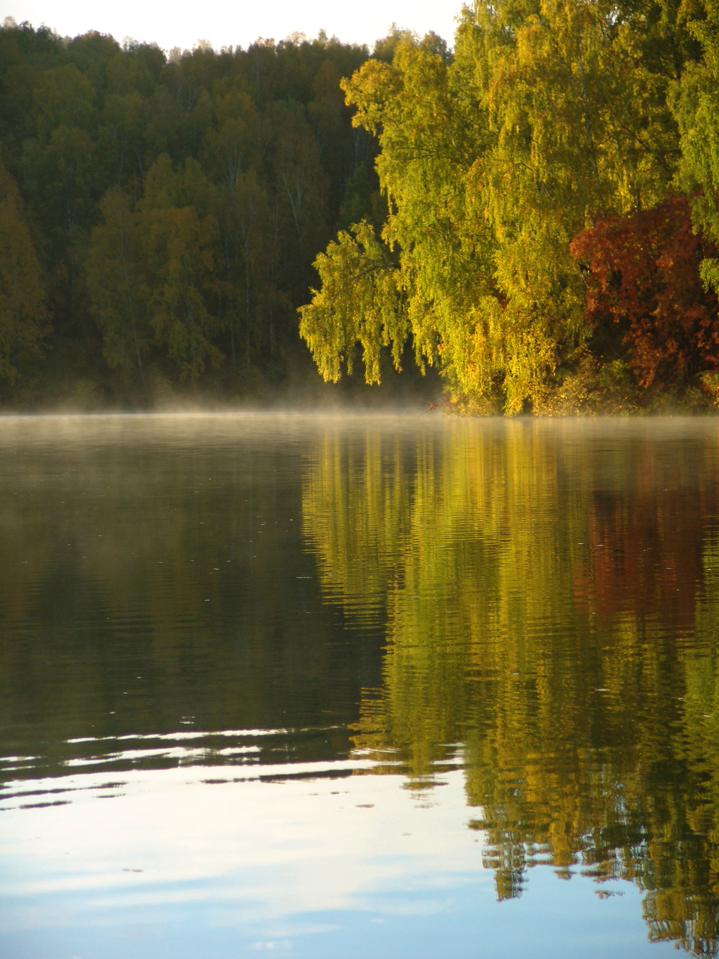 Haunted Lake Water Reflection In free image download