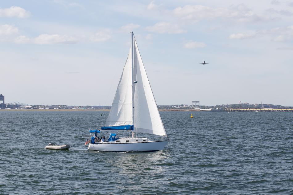 Boston Harbor Sailboat free image download