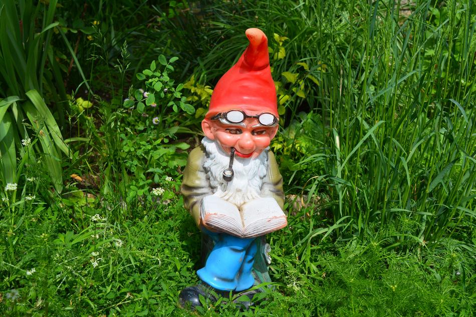 Dwarf Garden Gnome free image download
