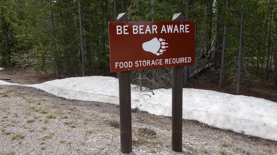 Bears Warning Sign free image download