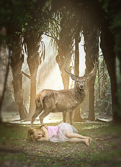 Deer Jungle free image download
